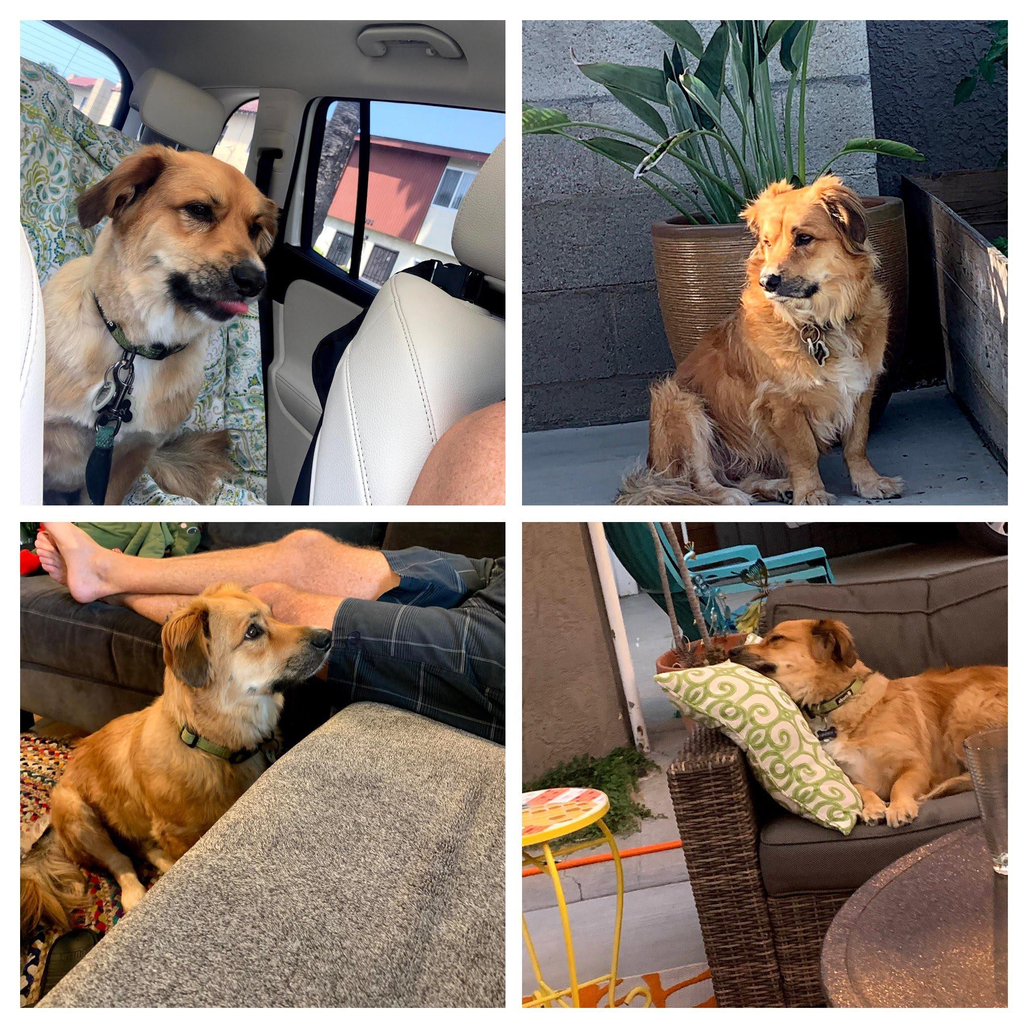 Pablo Escobark photoshoot. | Scrolller