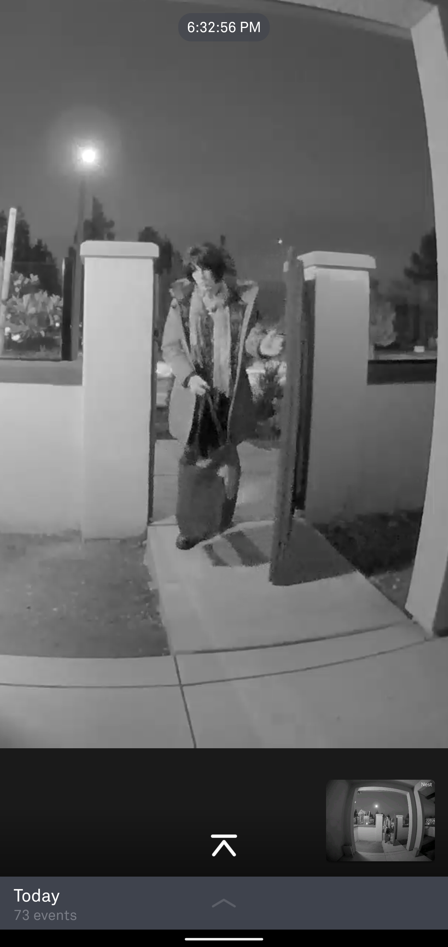 Package thief | Scrolller