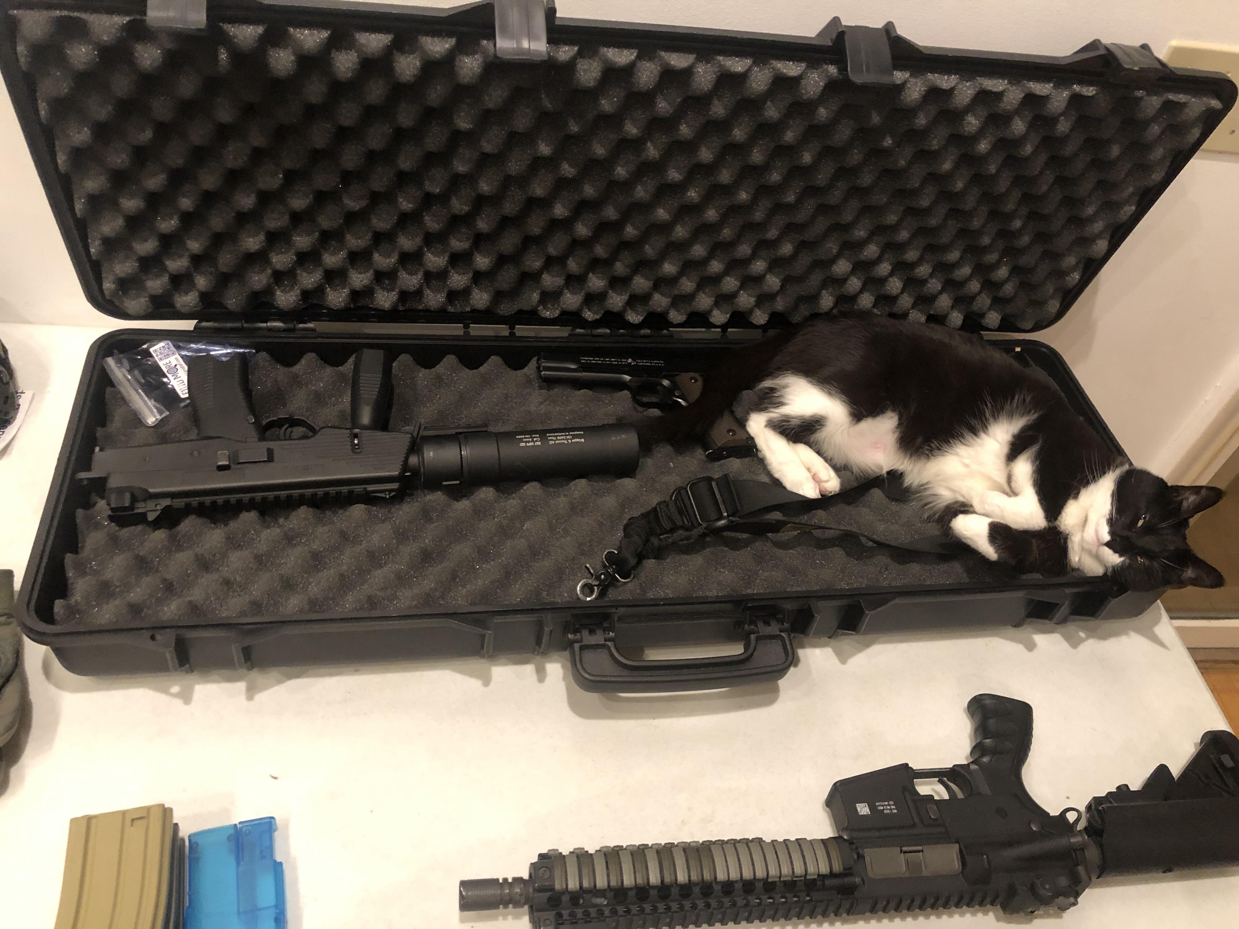 Packing only the essentials | Scrolller