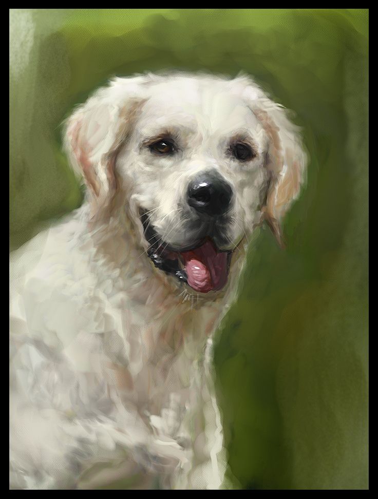 Painting of Toby | Scrolller