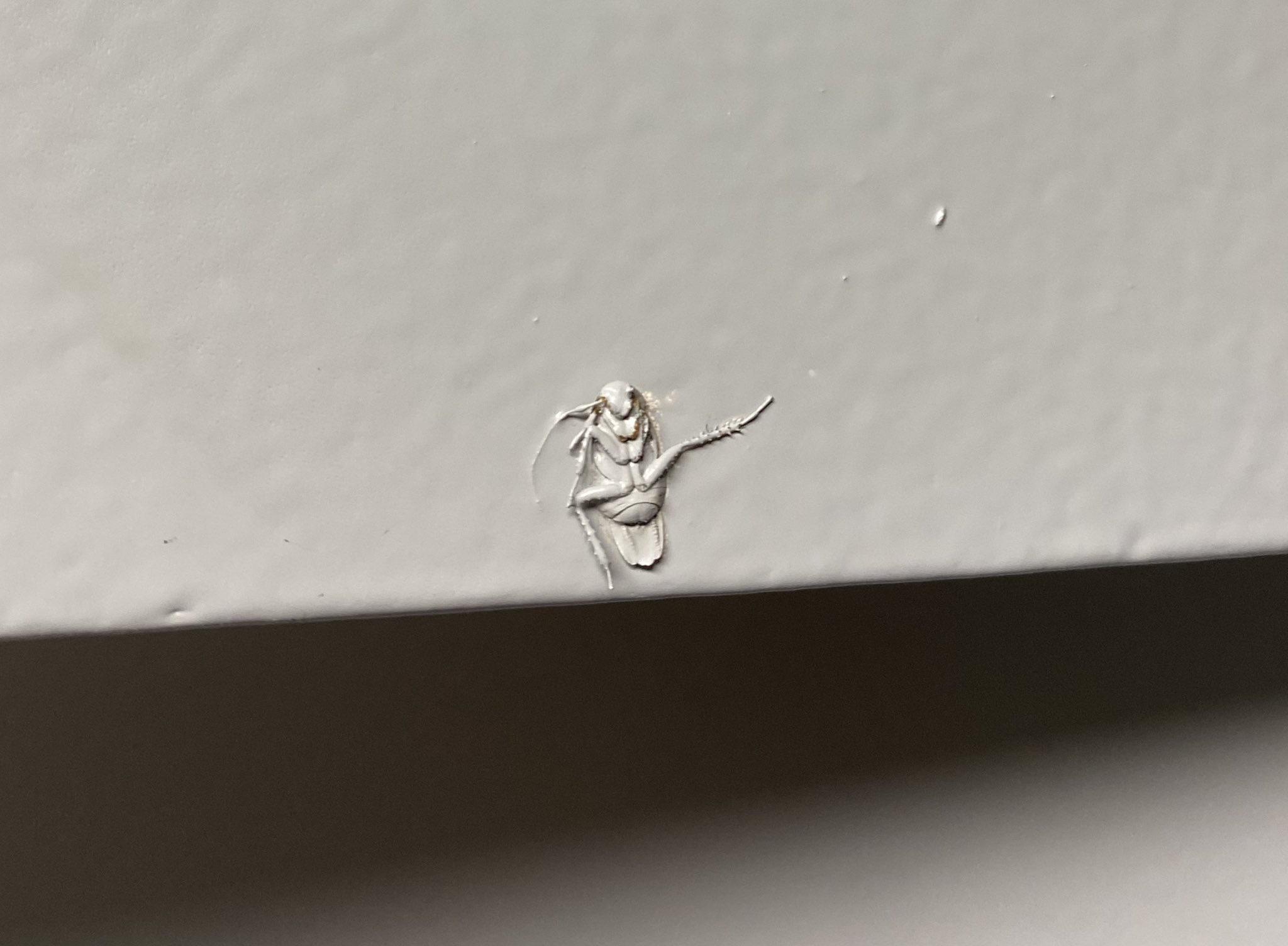 Painting over cockroaches | Scrolller