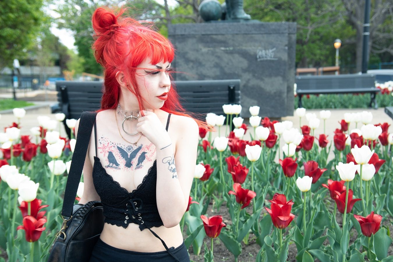 Painting the roses red | Scrolller