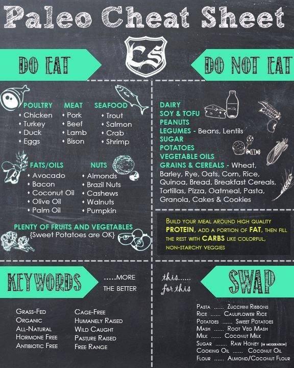 Paleo Cheat Sheet | Scrolller