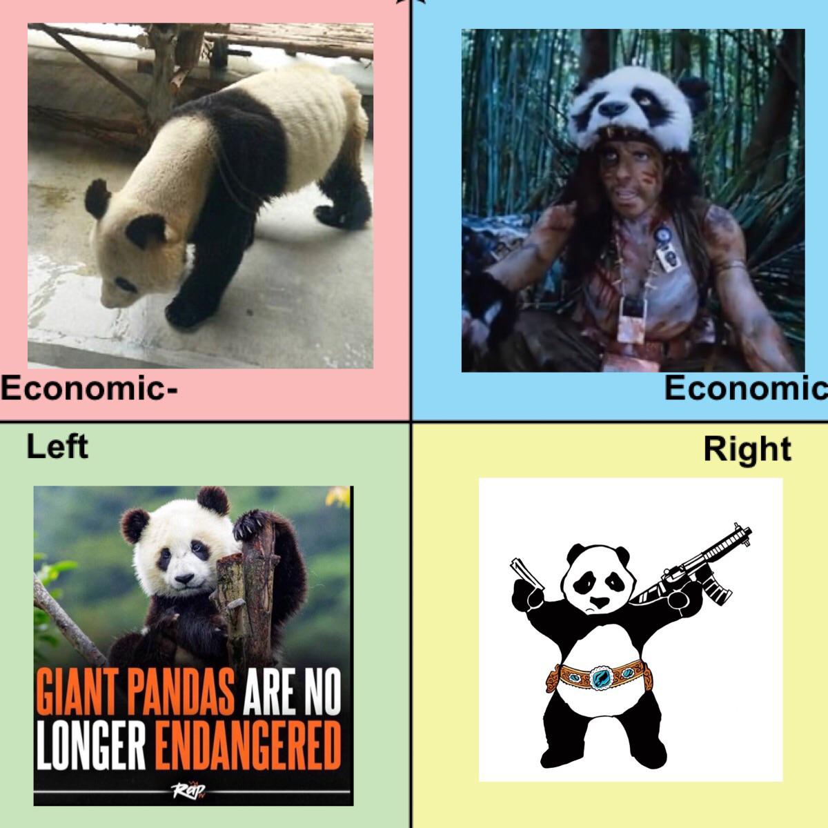 Panda compass | Scrolller