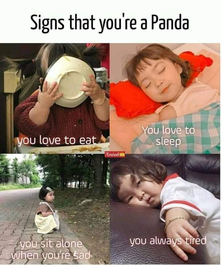 Panda queen's daily routine | Scrolller