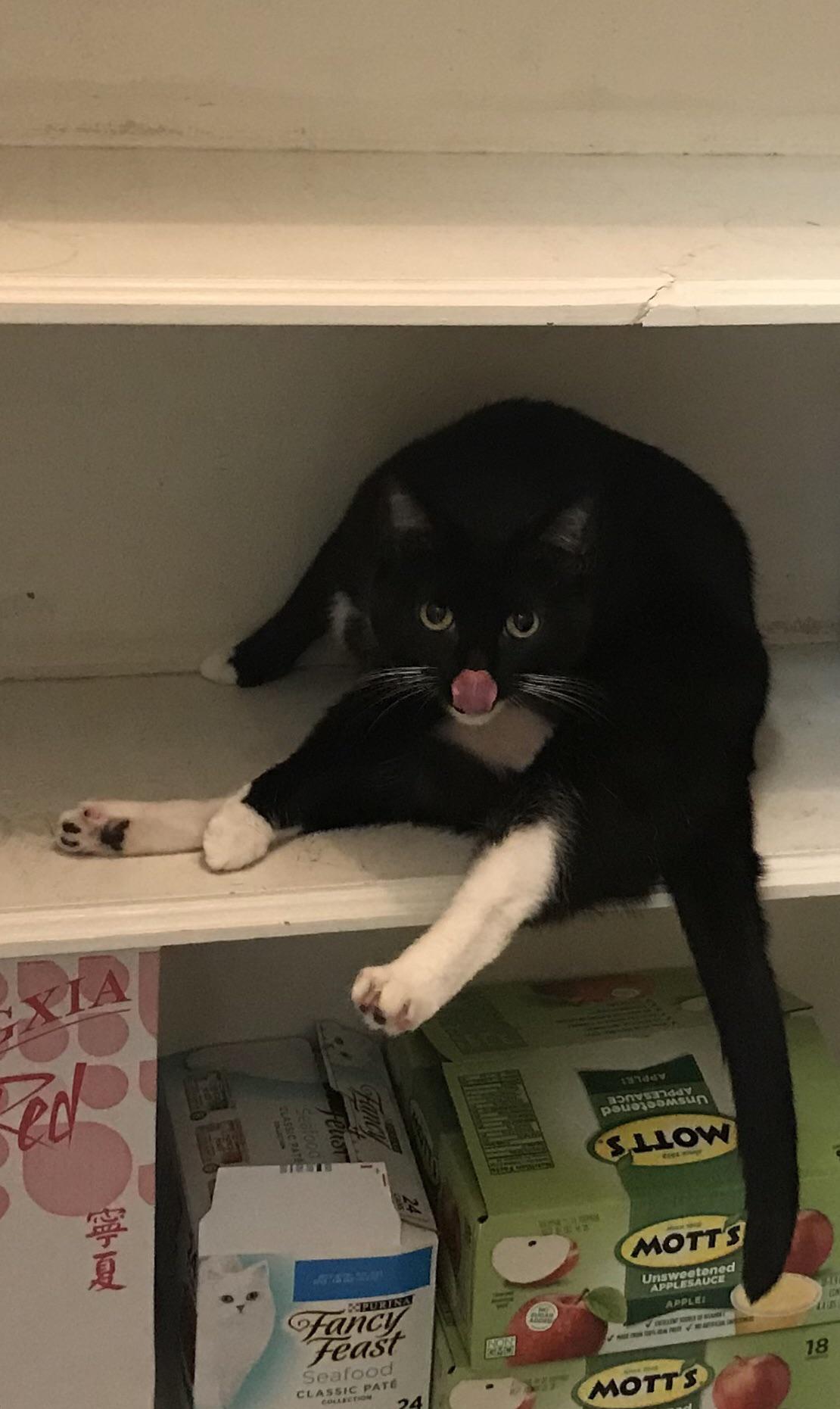 Pantry mlep | Scrolller