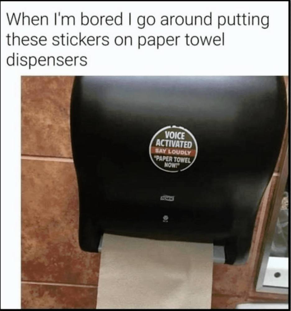 "Paper towel now!" | Scrolller