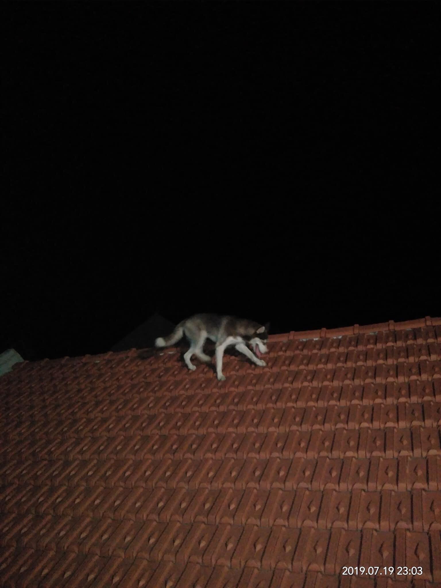 Paranormal activity | Scrolller