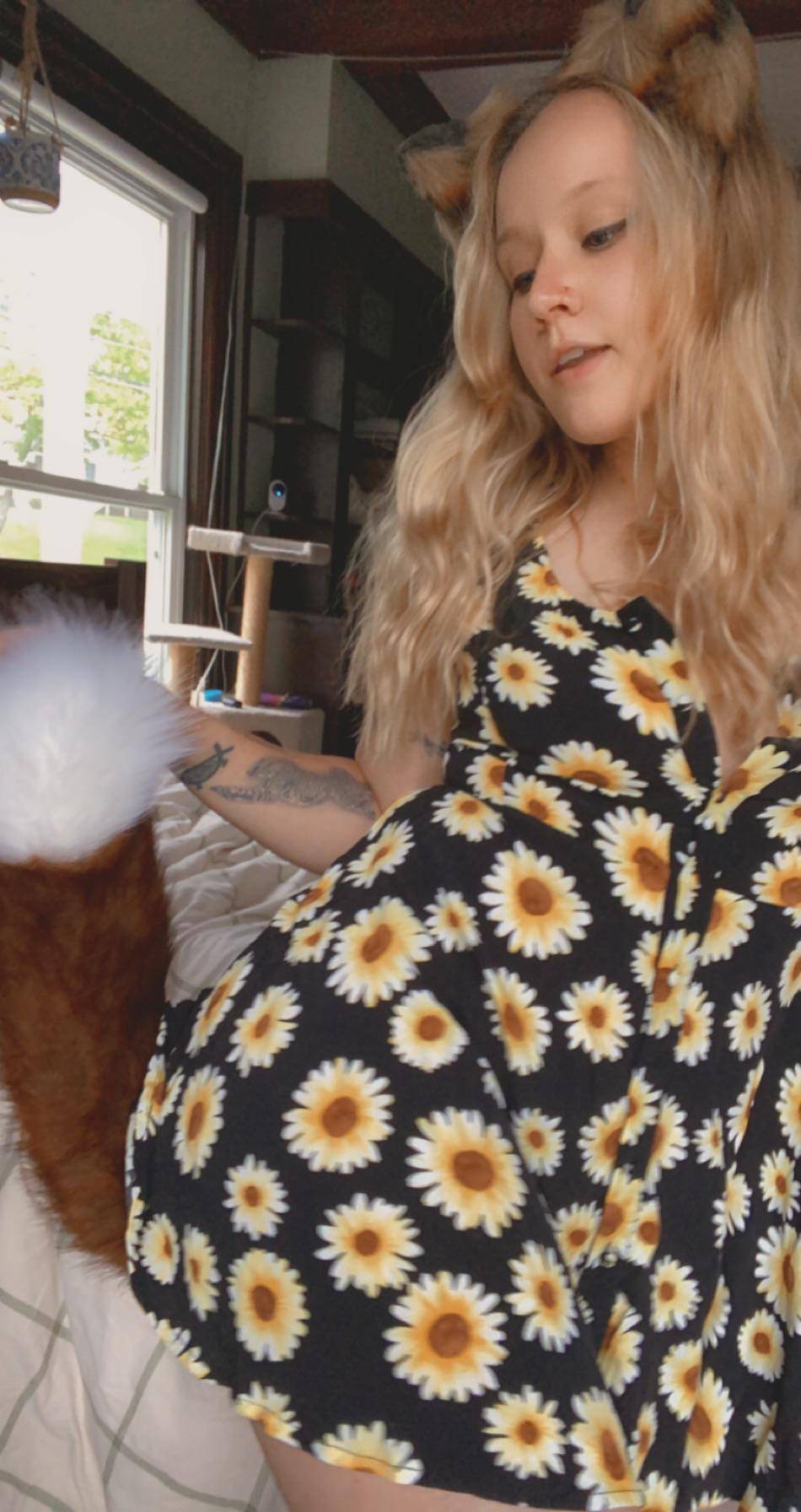 pat my head and pull my tail | Scrolller