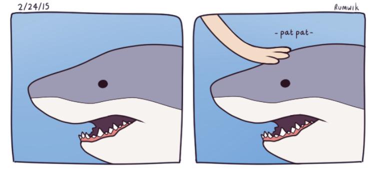 *Pat pat* | Scrolller