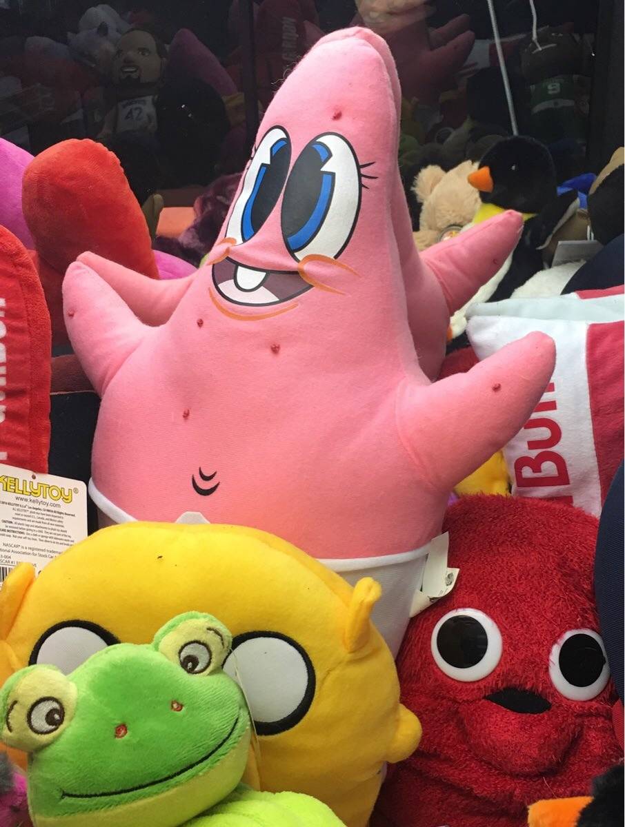 Pat Star | Scrolller