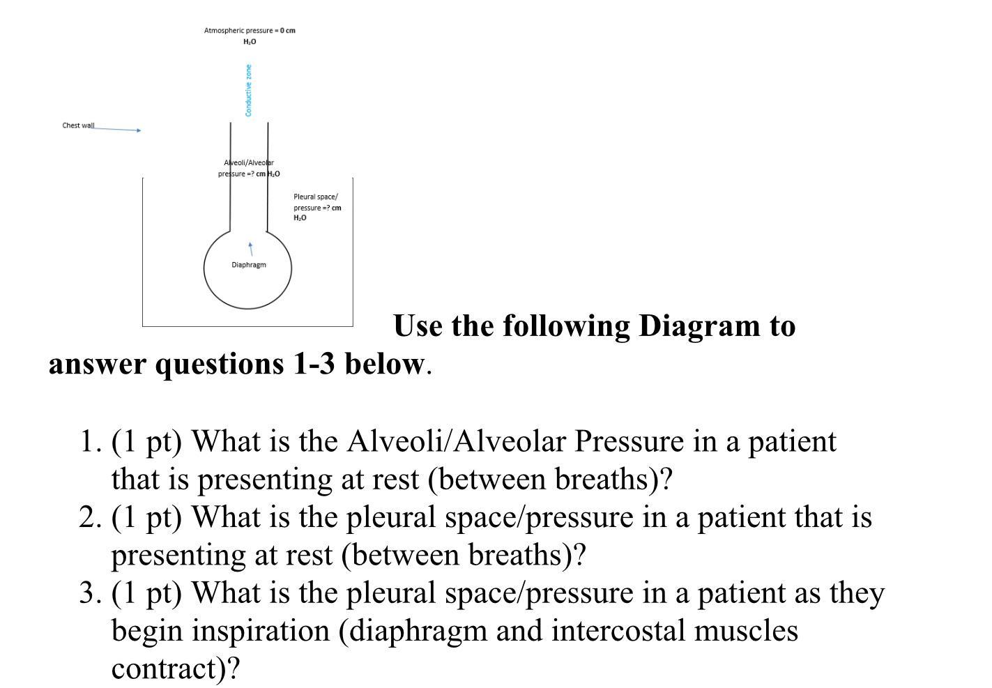 Pathophysiology Help! Can anyone please help me with these 3 questions based on the diagram ...