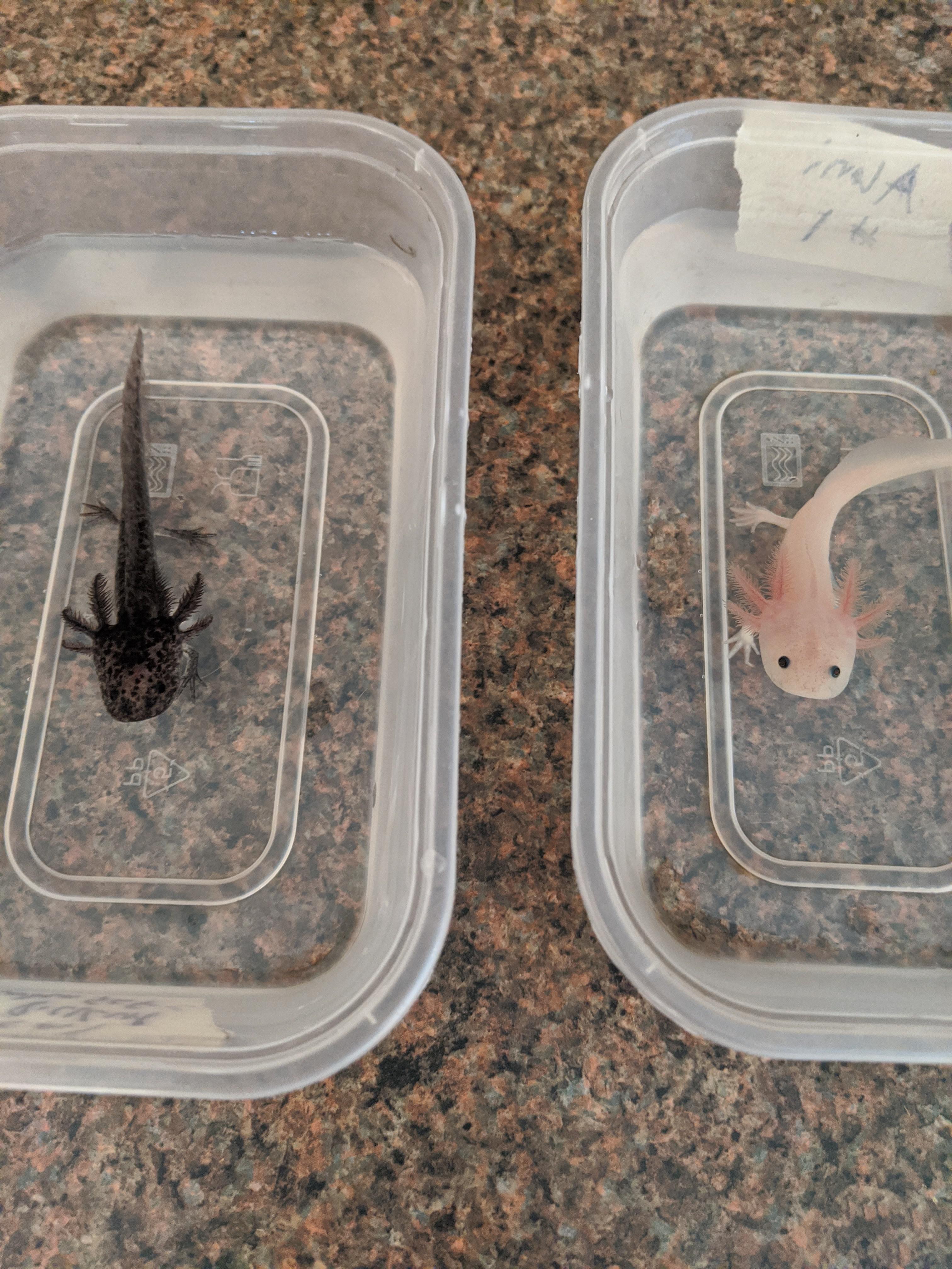 Patiently waiting for some worms | Scrolller