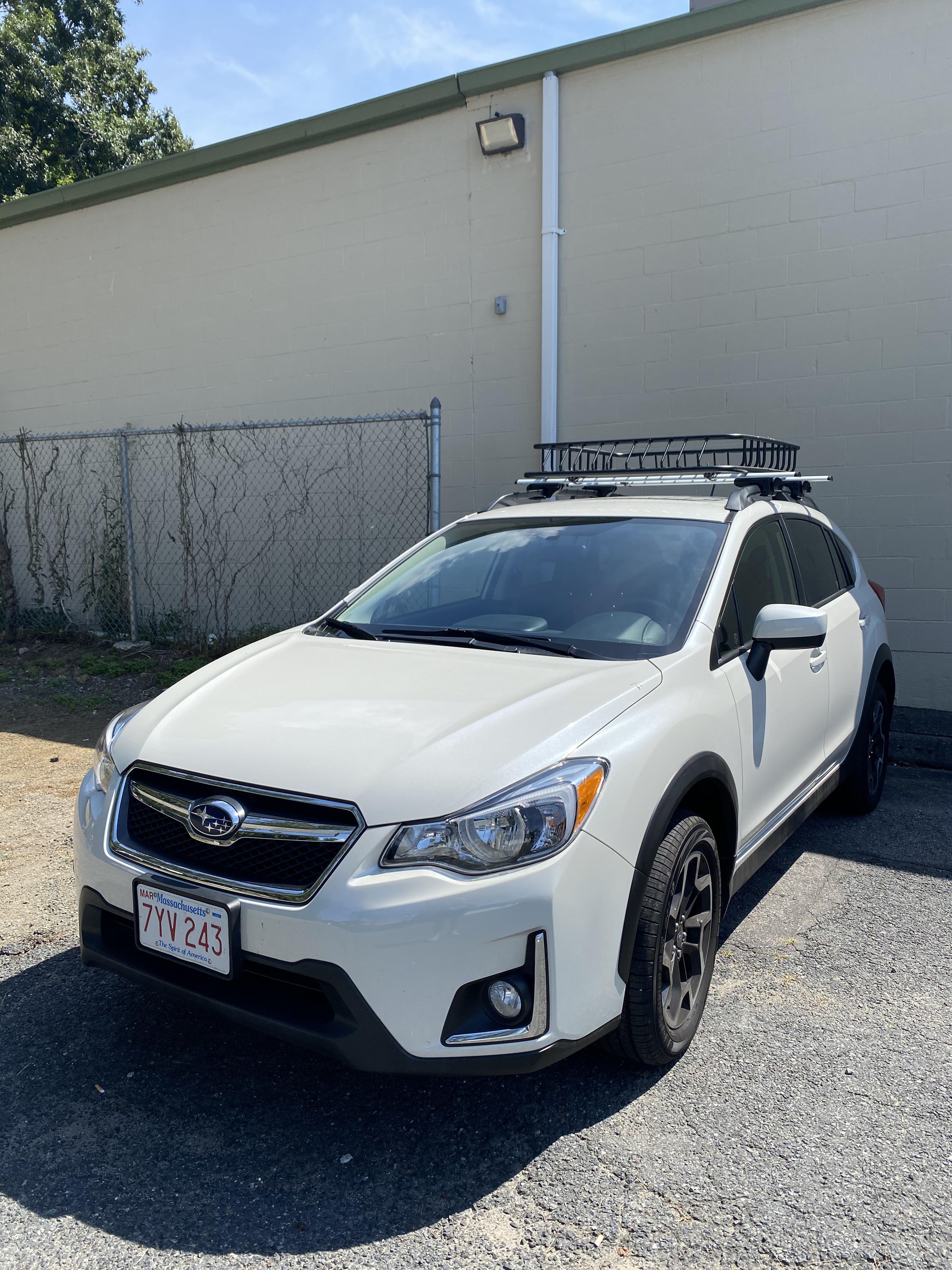 Patrick got a new basket. He’s very proud. Now he just needs a giant baguette. | Scrolller