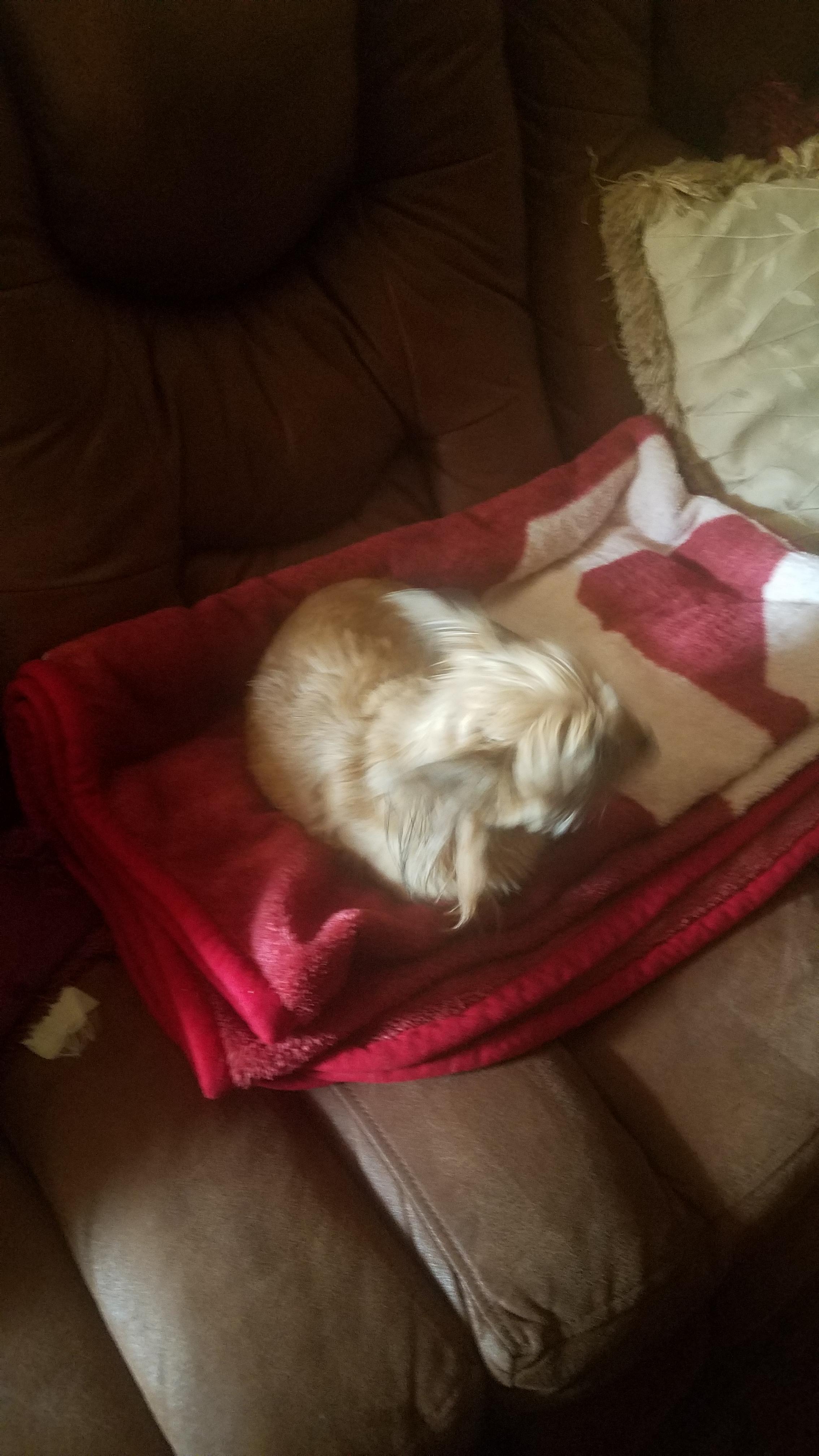 Patriotic Loaf Scrolller