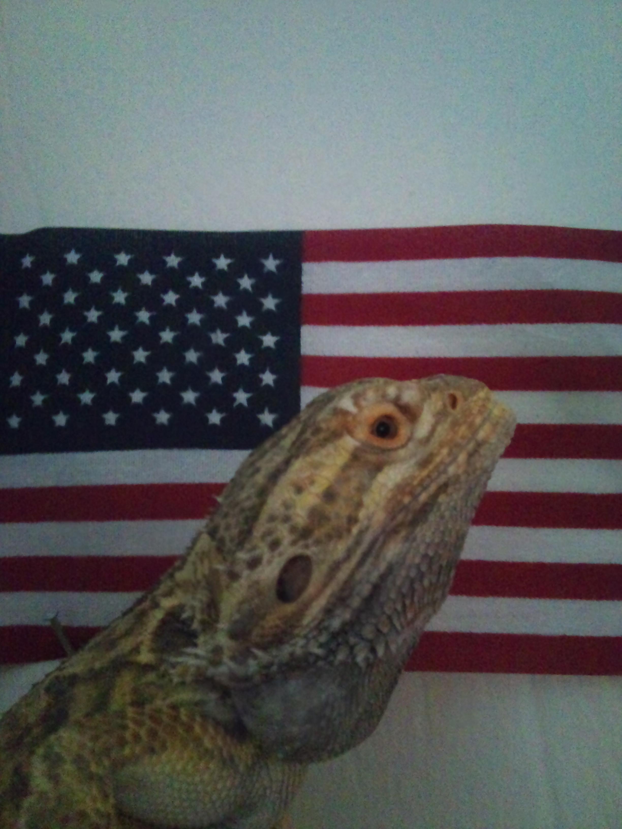 Patriotic Rupe Scrolller