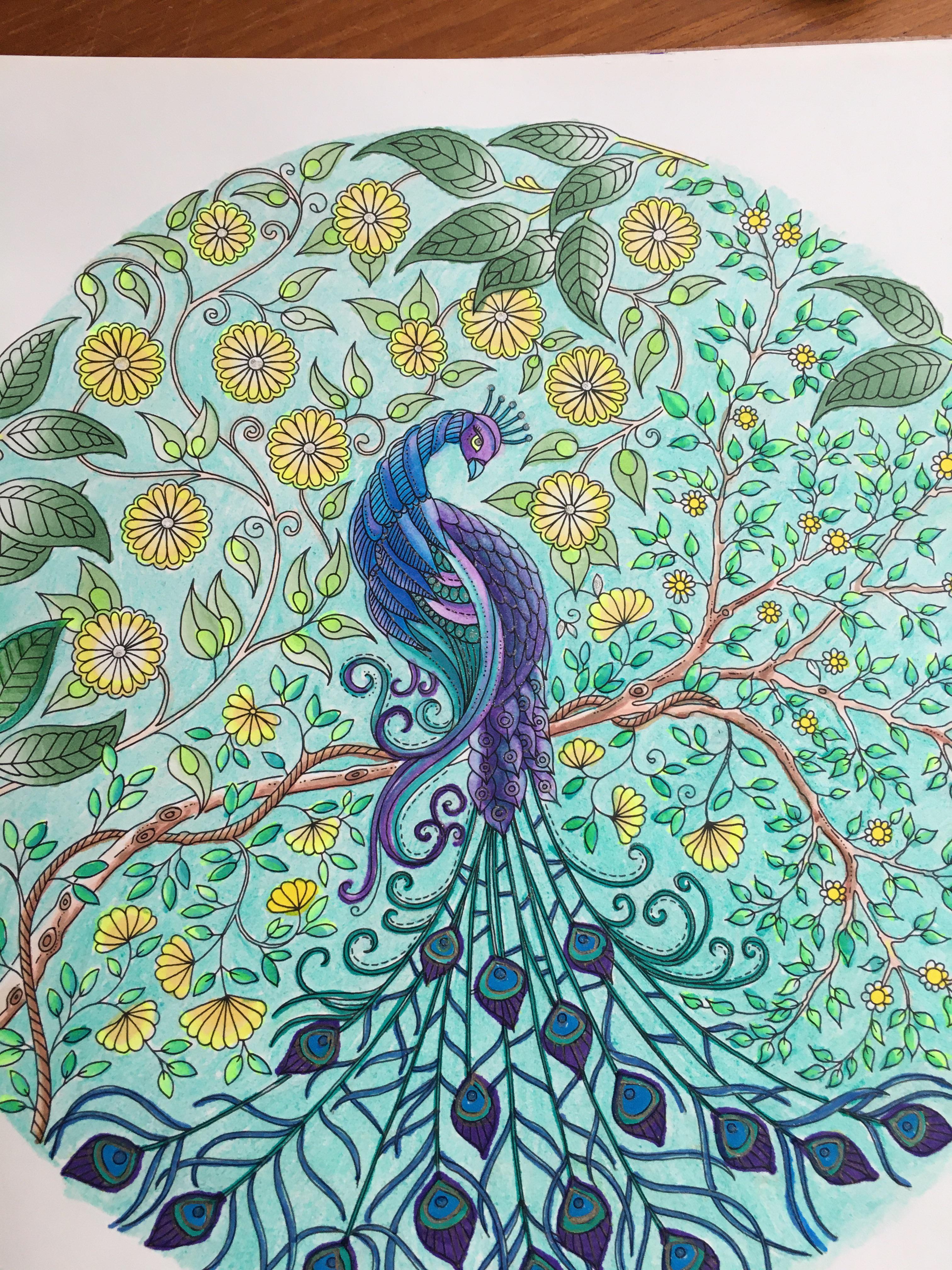Peacock | Scrolller