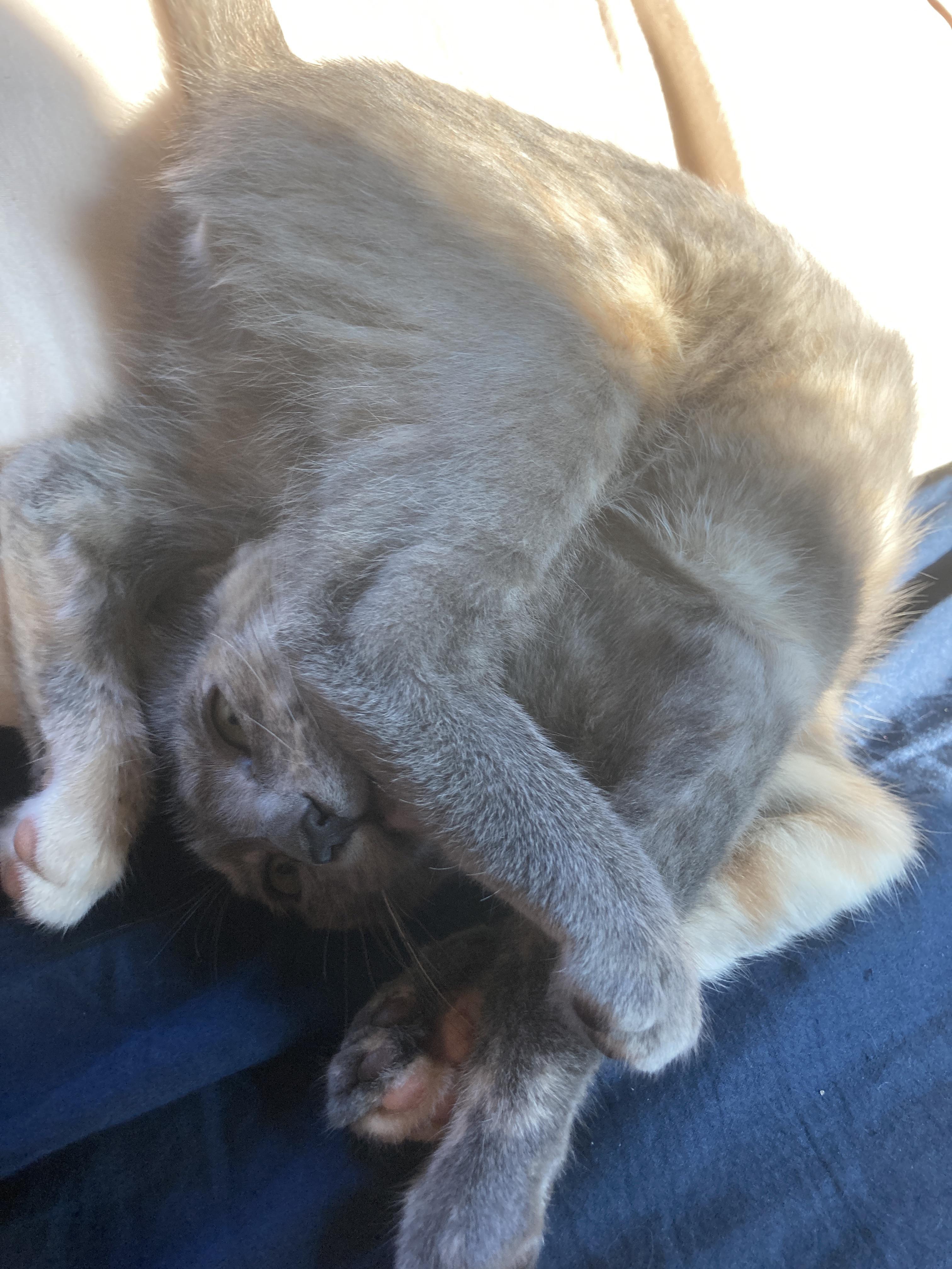 Peak comfort | Scrolller