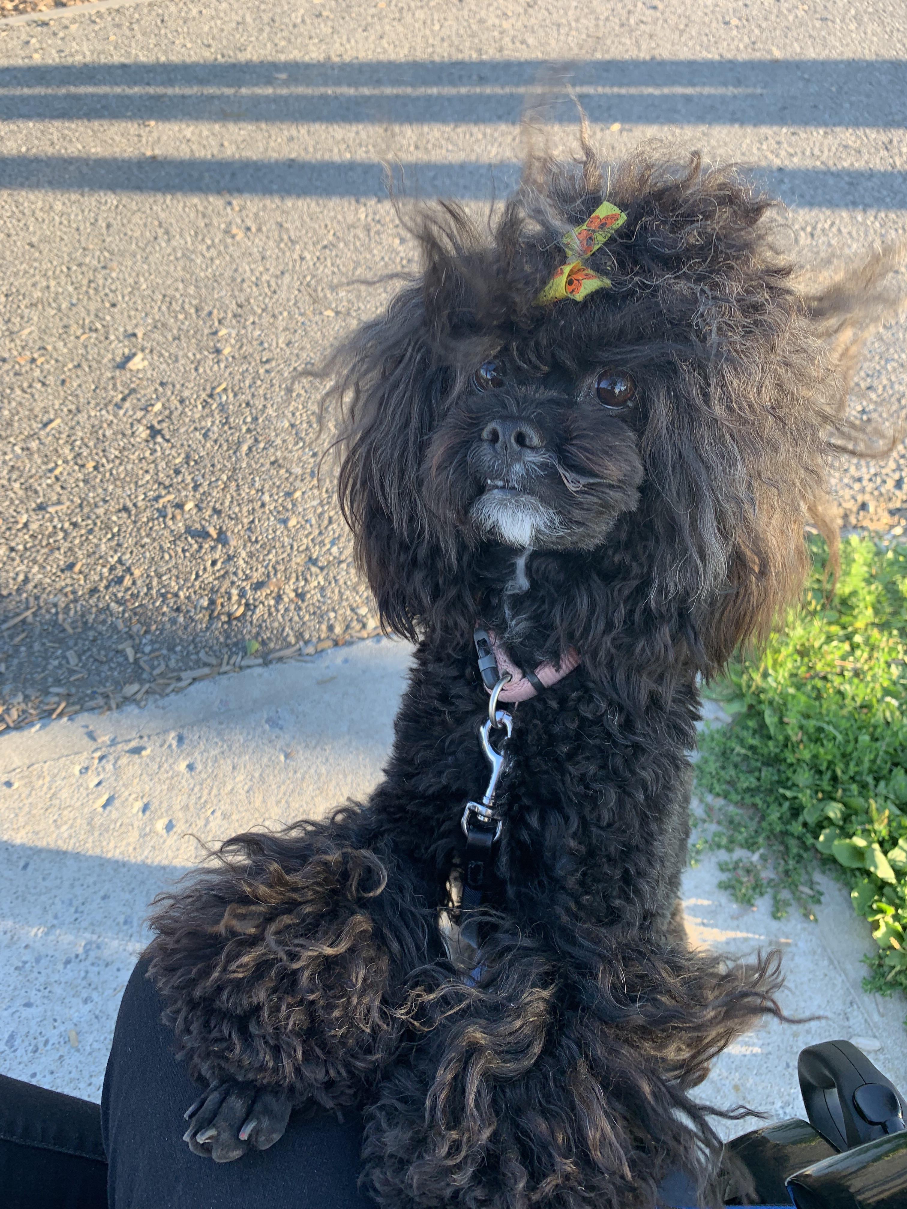 PEARL PEARL PEARL PEARL | Scrolller