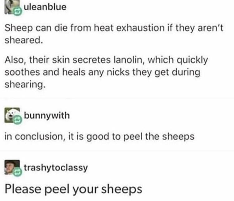 peel sheep | Scrolller