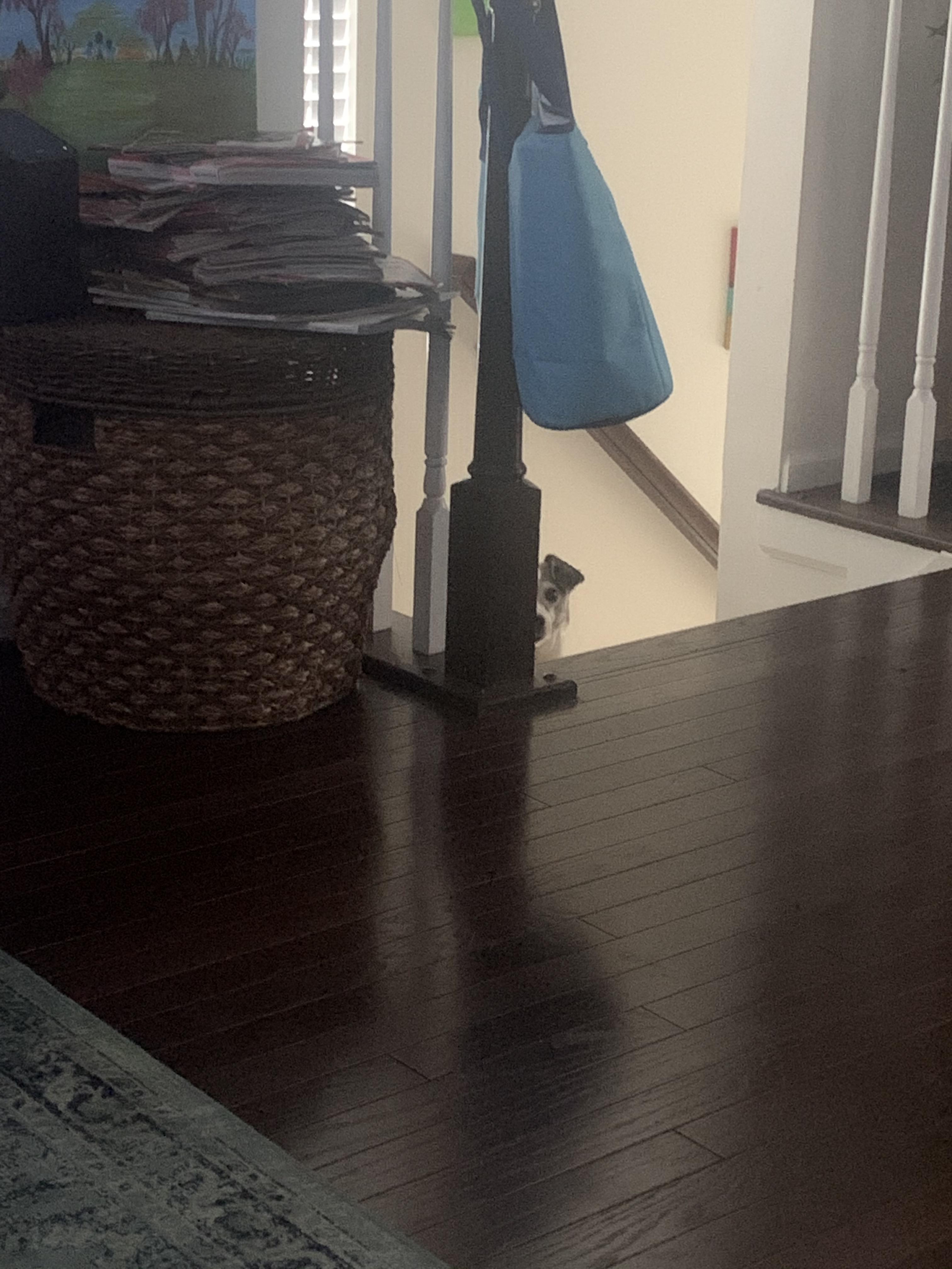 Peeping Brody! | Scrolller