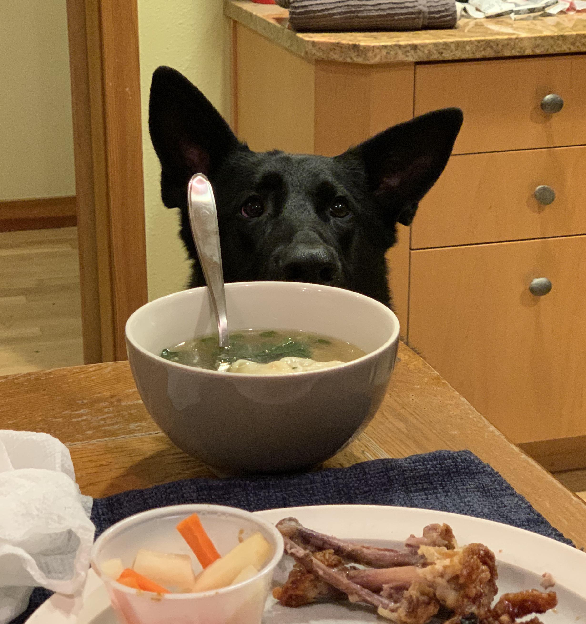 Peeping My Dinner | Scrolller