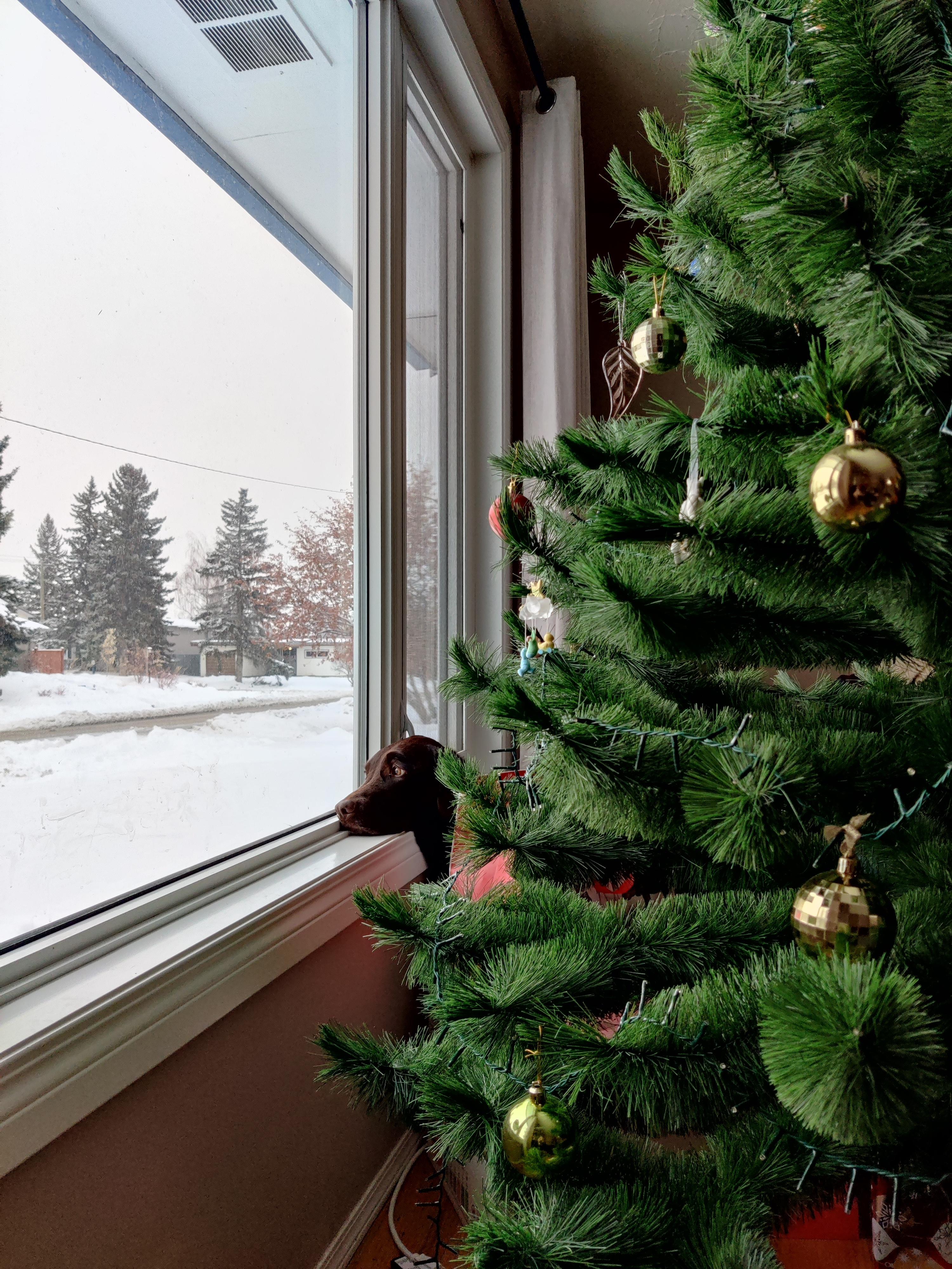 Peeping on the neighbors! | Scrolller