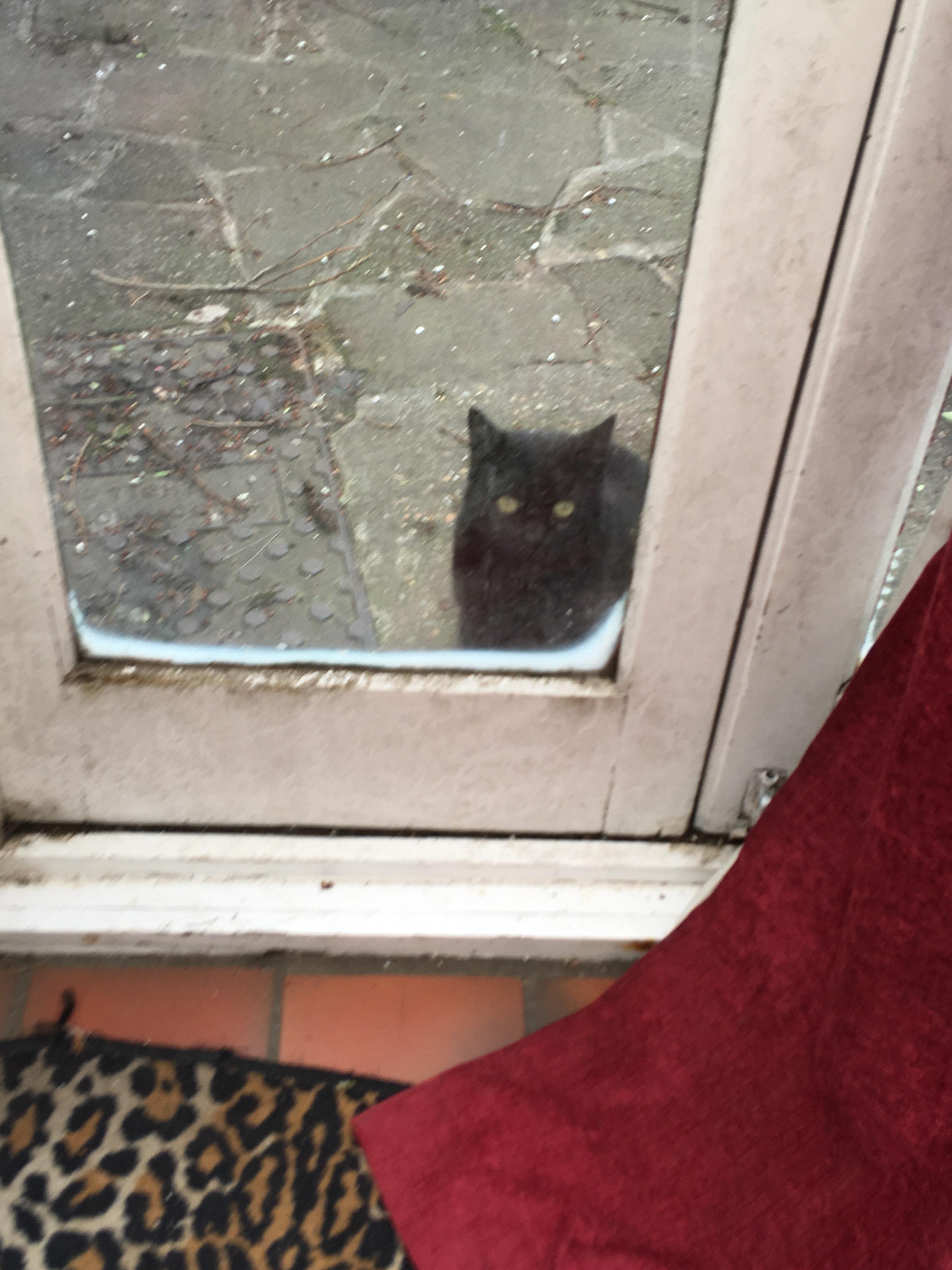 Peeping through the door | Scrolller