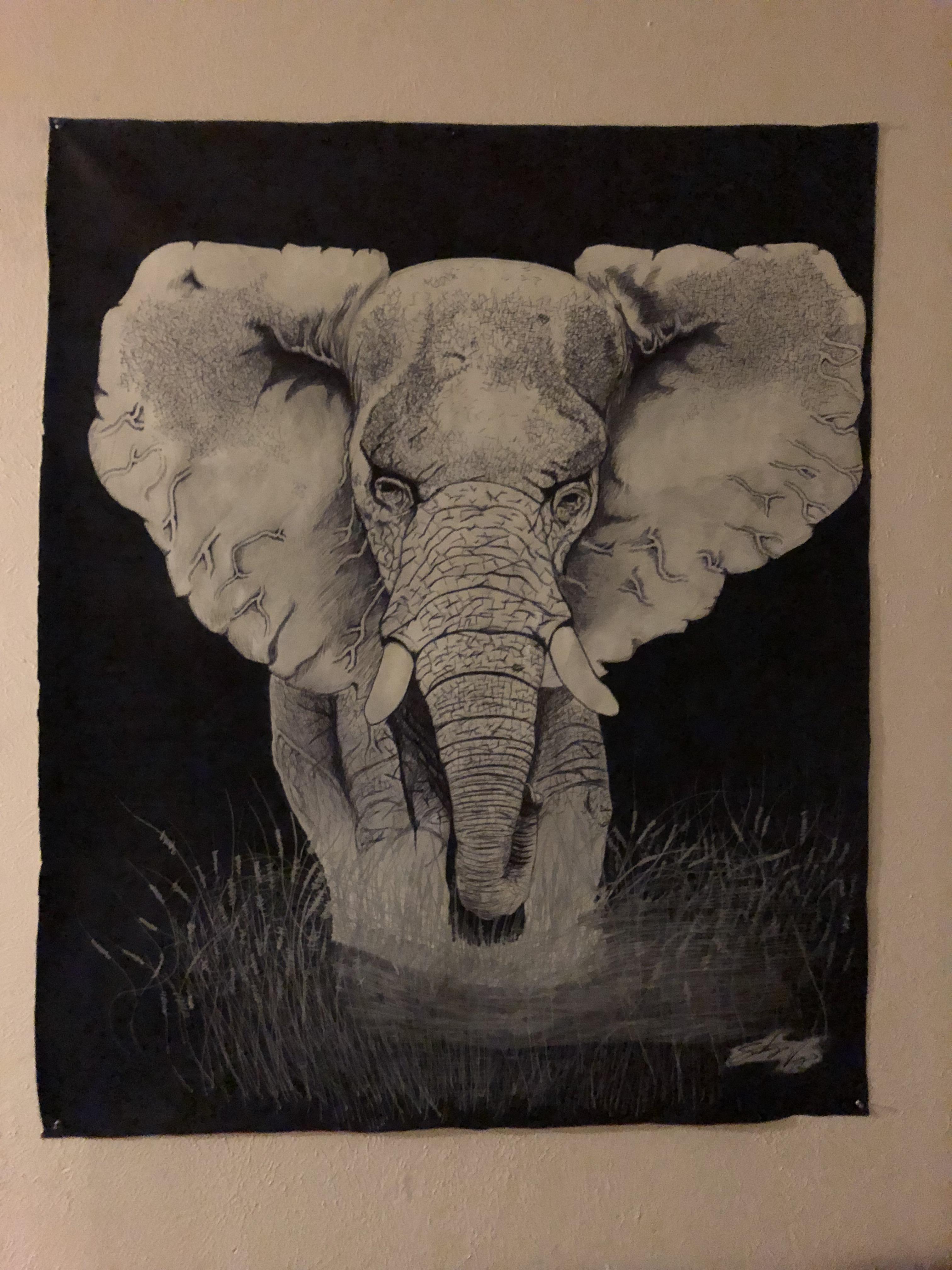 Pen and sharpie | Scrolller