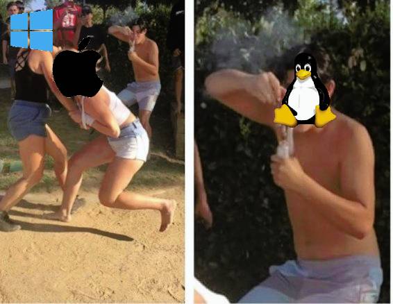 Penguins are the best | Scrolller