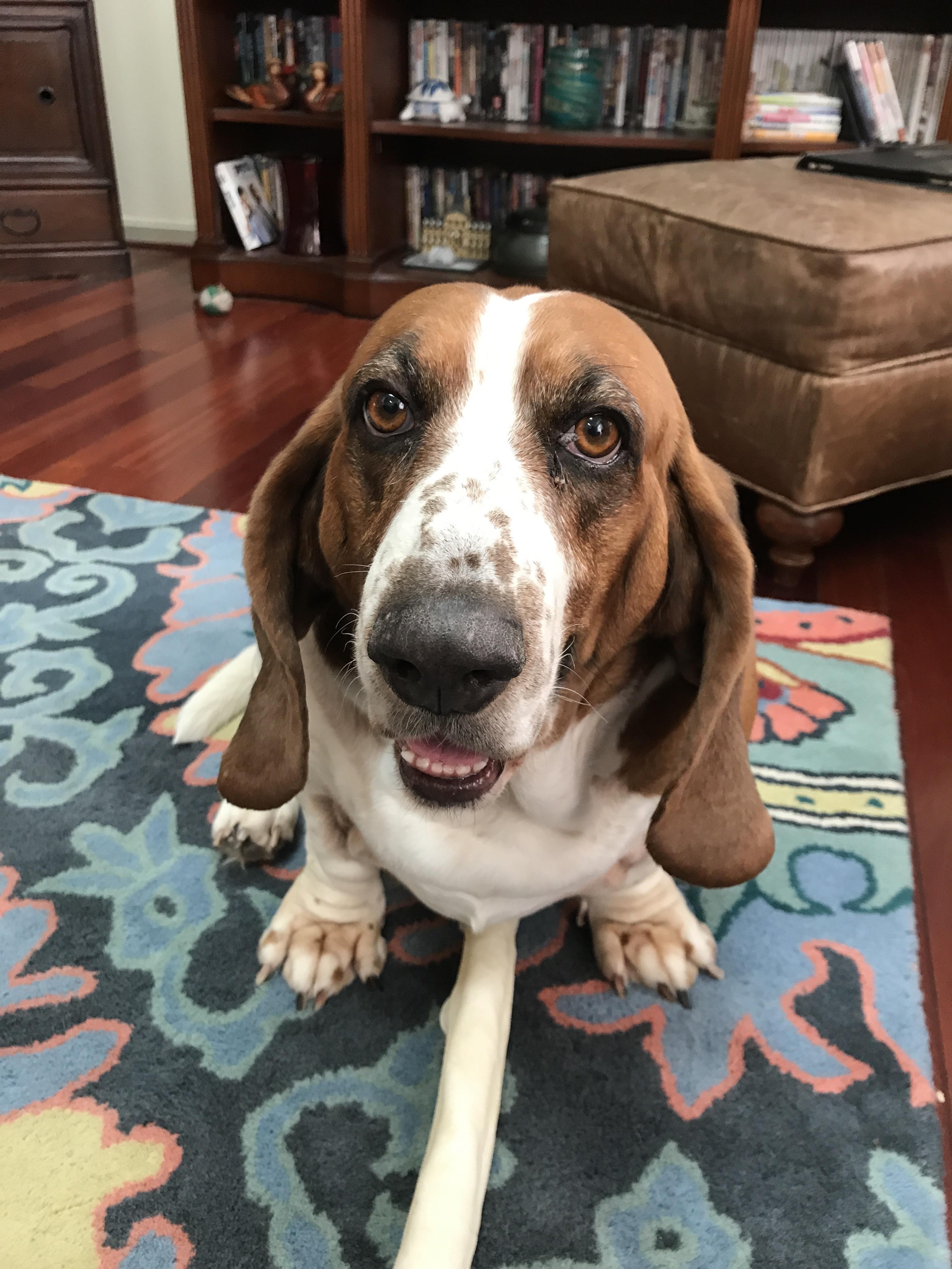 Penny ️ Scrolller