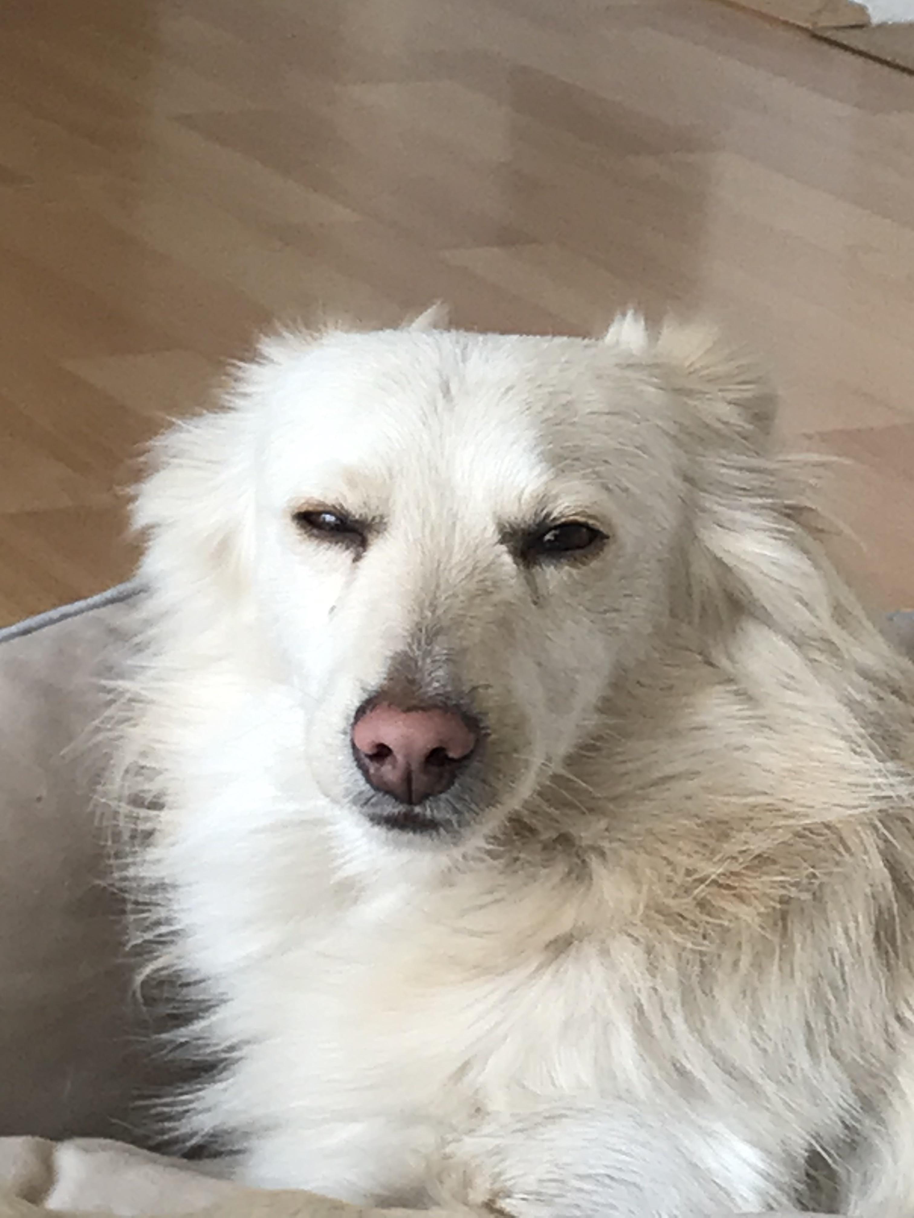 People who actually use this sub for subnautica gore are fucking disgusting | Scrolller