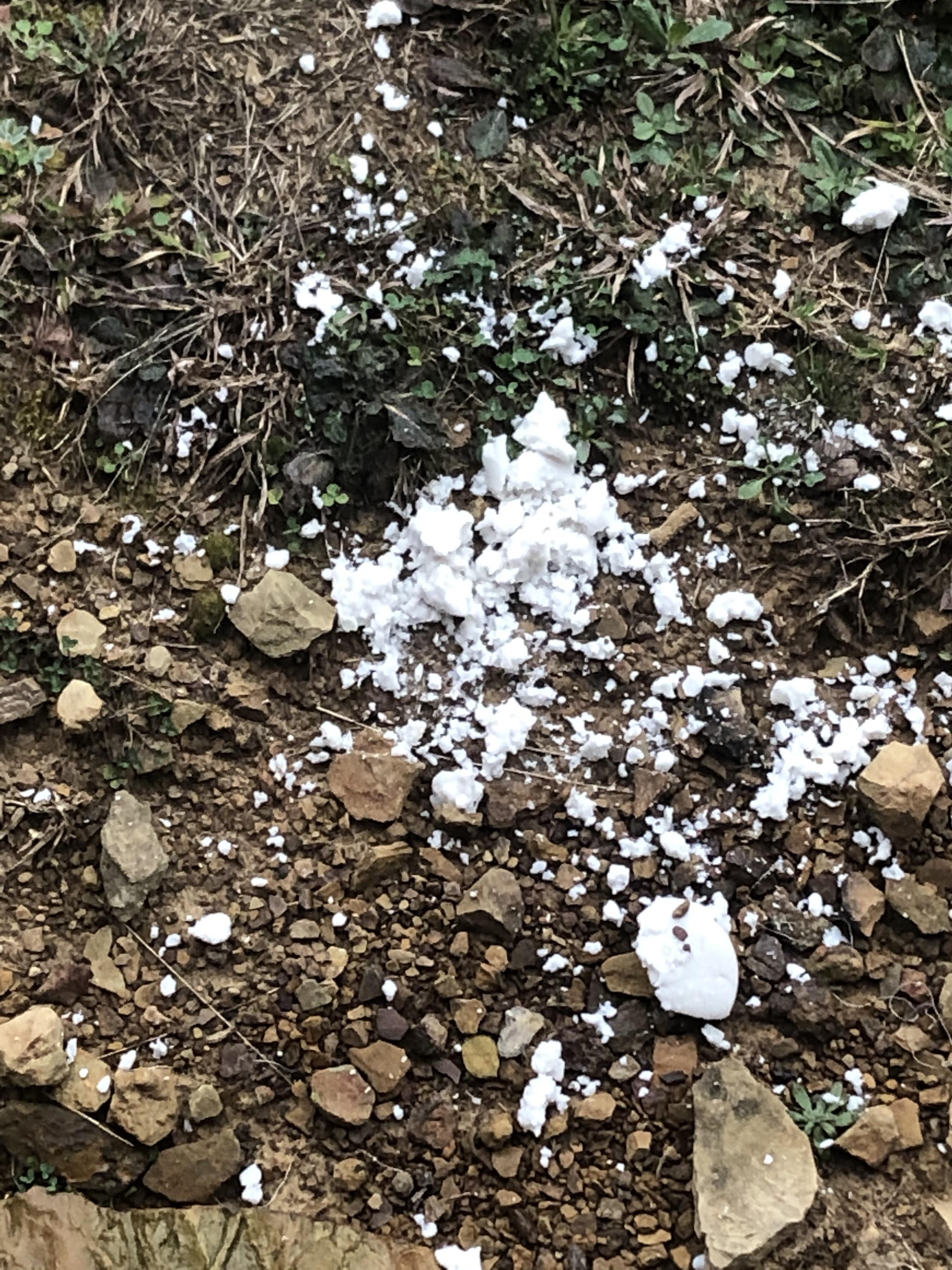 Perfect clone of my dick.... | Scrolller