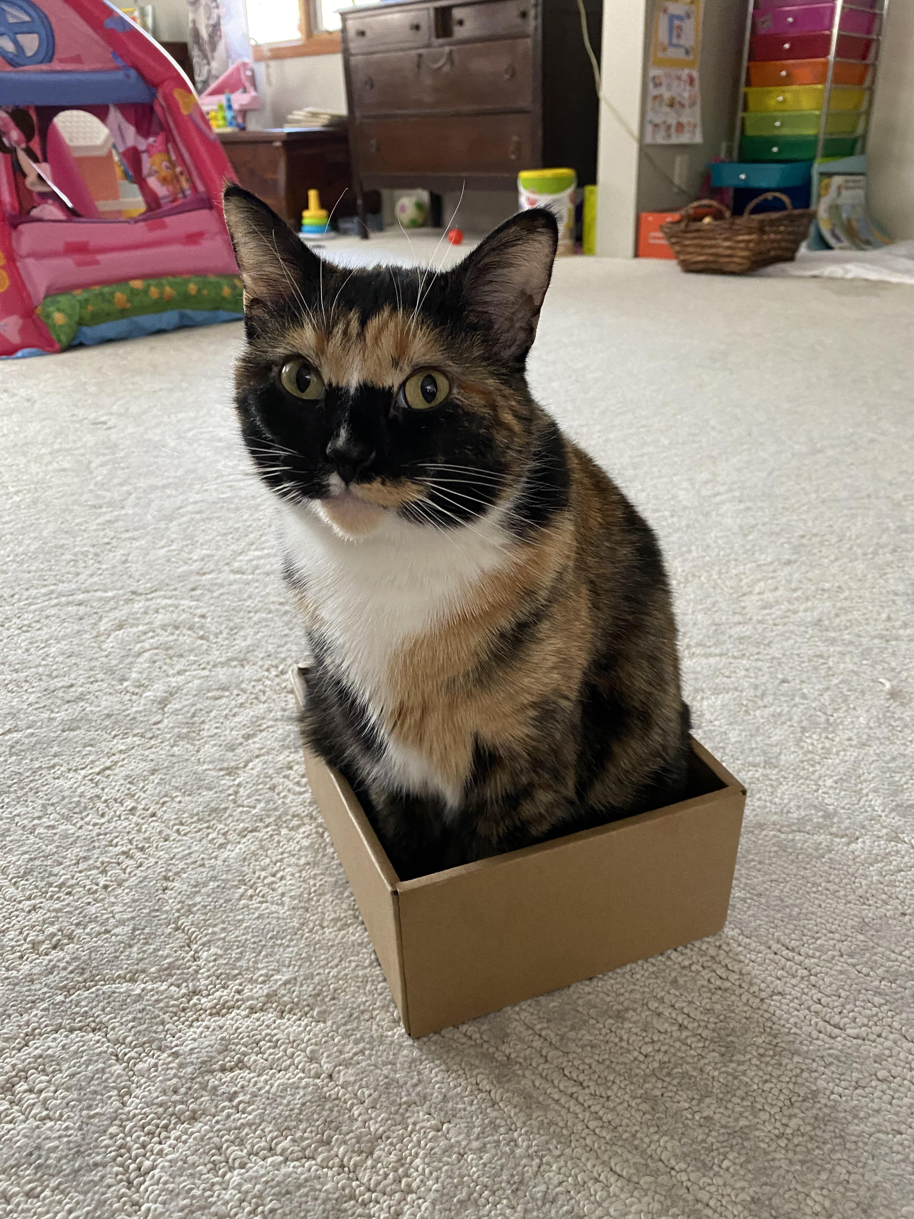 Perfect Fit! | Scrolller