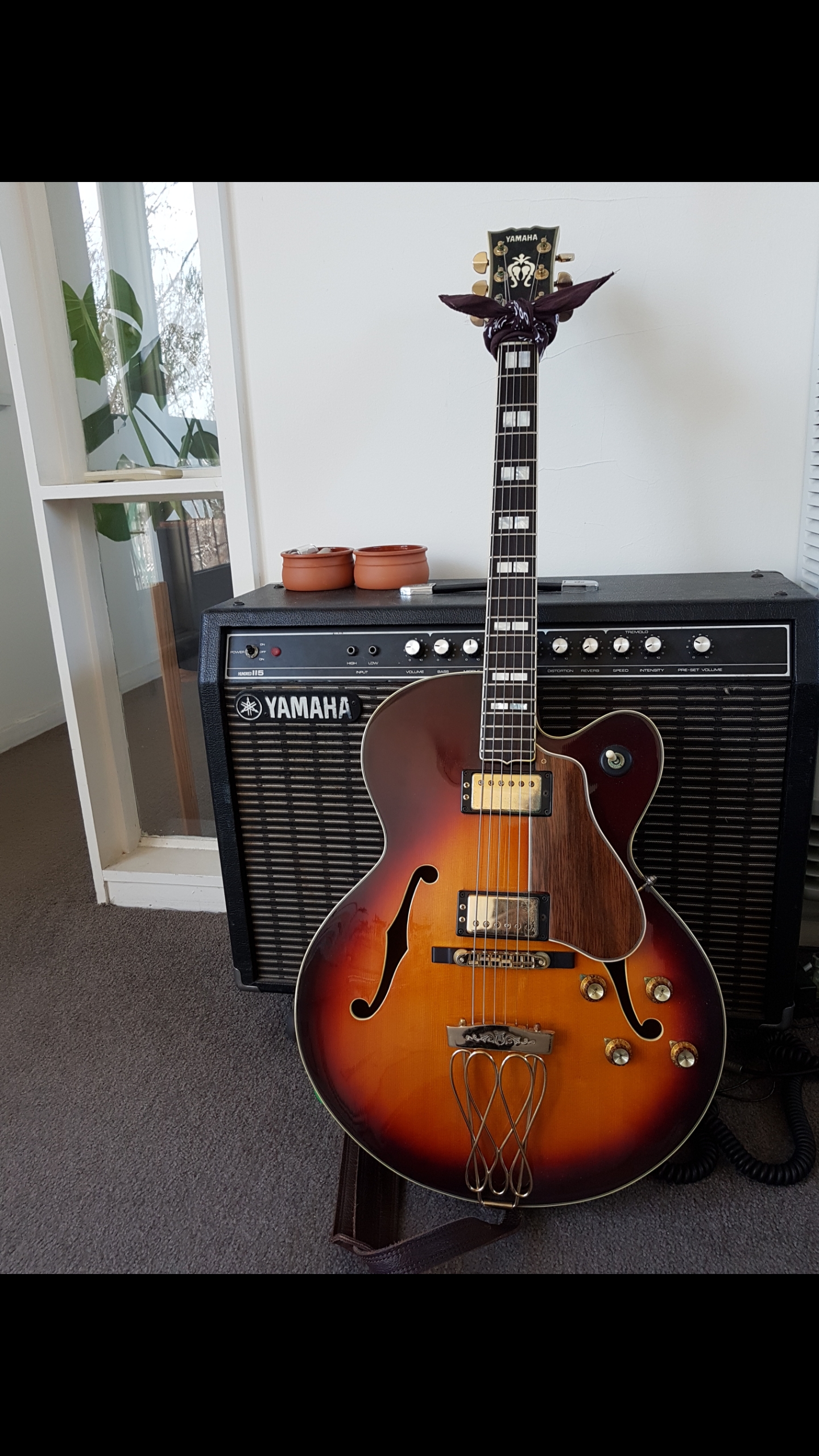 Perfect match | Scrolller