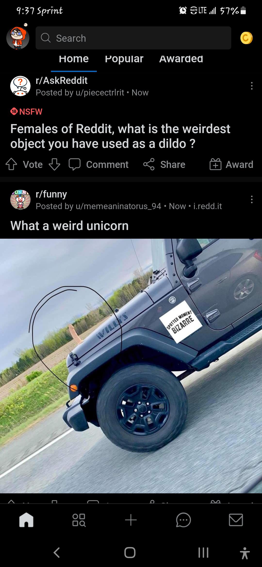 Perfect timing | Scrolller