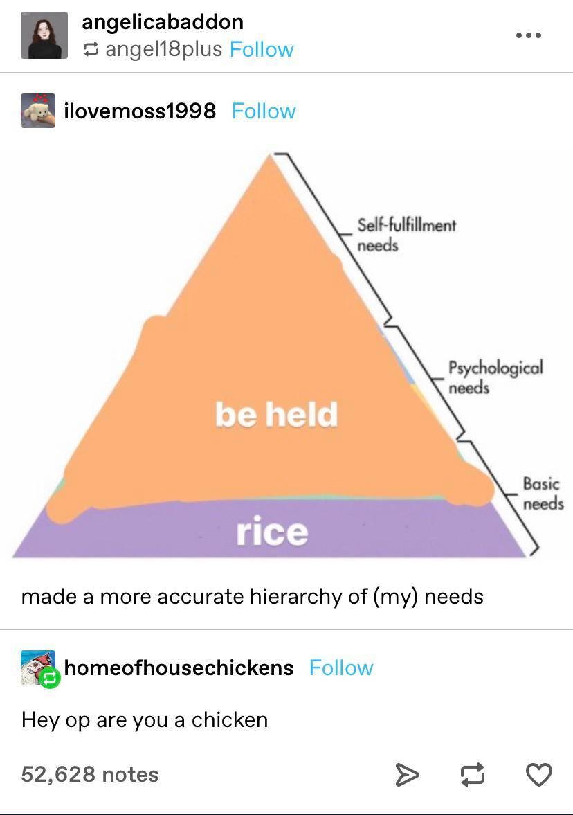 perfectly balanced hierarchy of needs | Scrolller