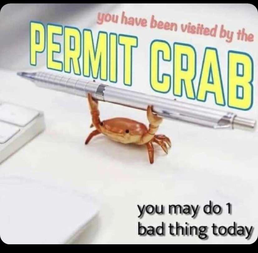 Permission Granted Scrolller