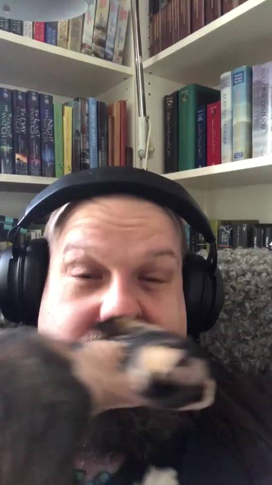 PET THAT CAT | Scrolller