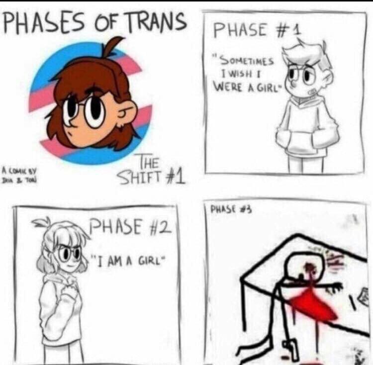 Phases of trans | Scrolller