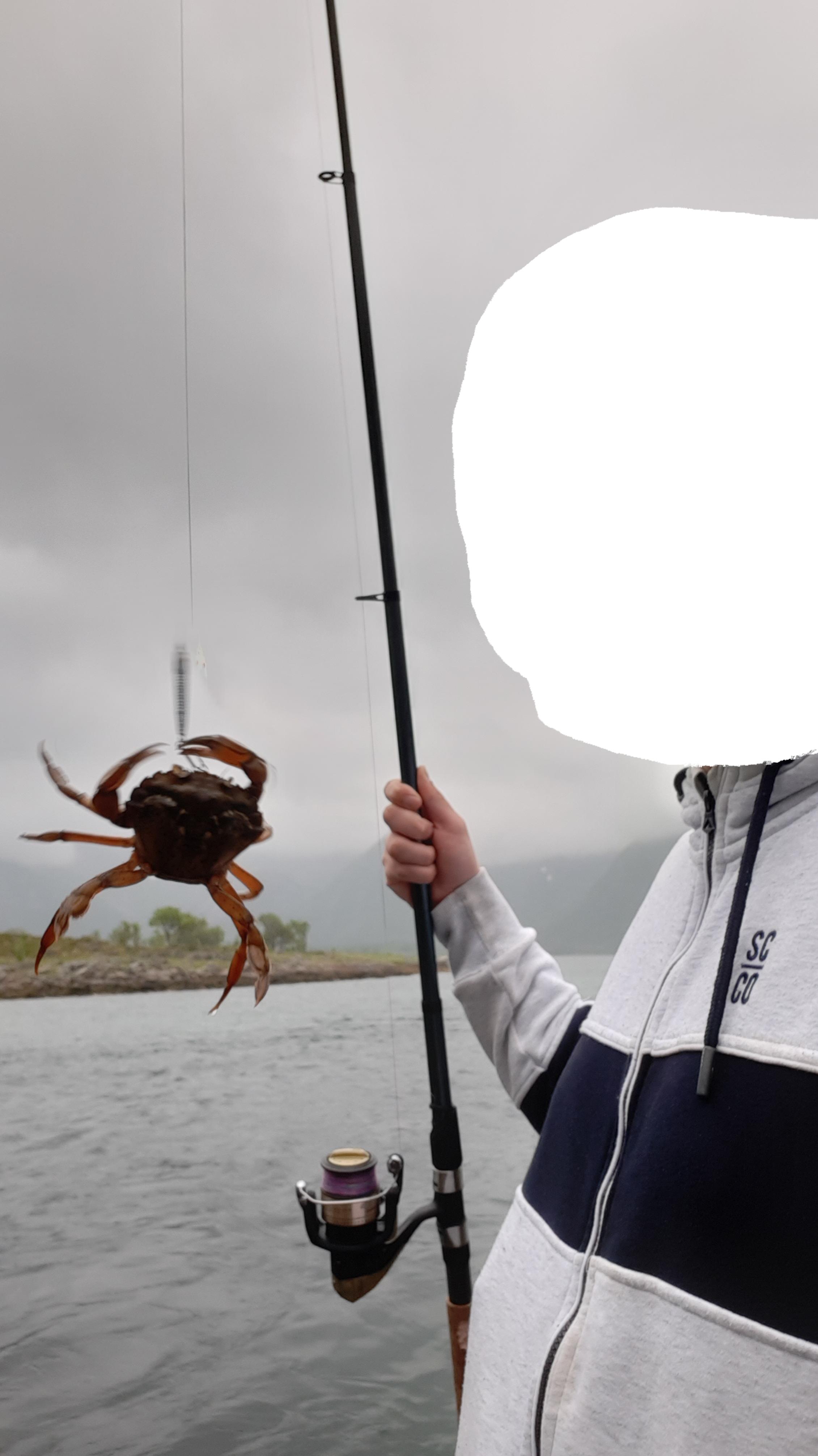 Pic of crab i caught on accident rule | Scrolller