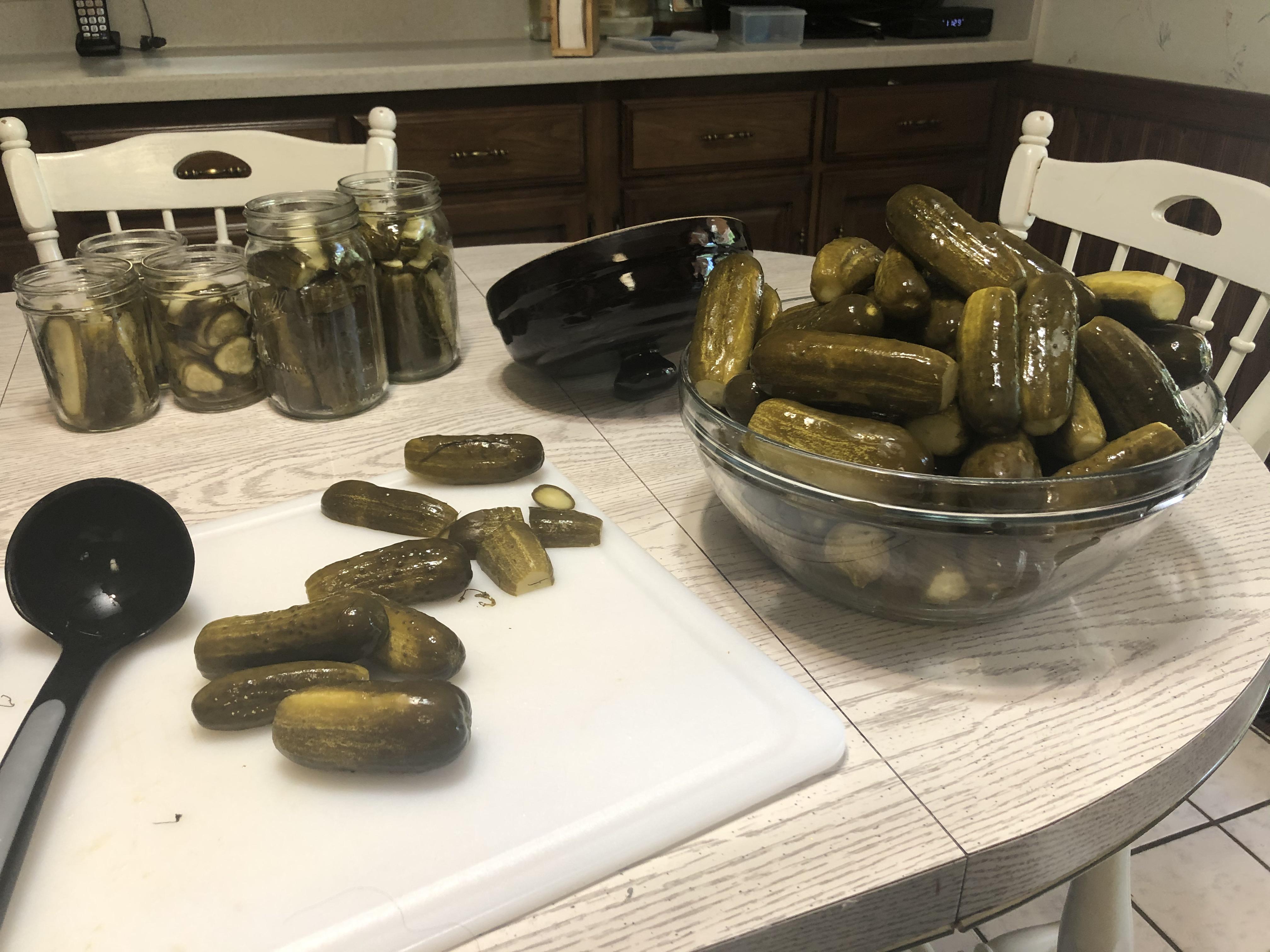 Pickle Day! | Scrolller