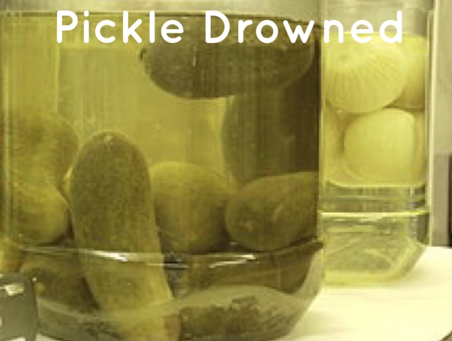 Pickle Is Dead | Scrolller