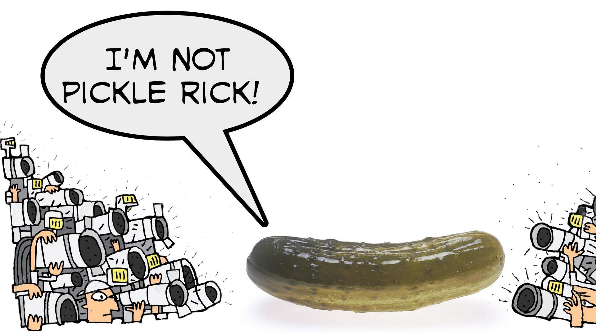 Pickle Rick is everywhere ~ | Scrolller