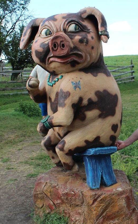 Pig 'n a Poke | Scrolller