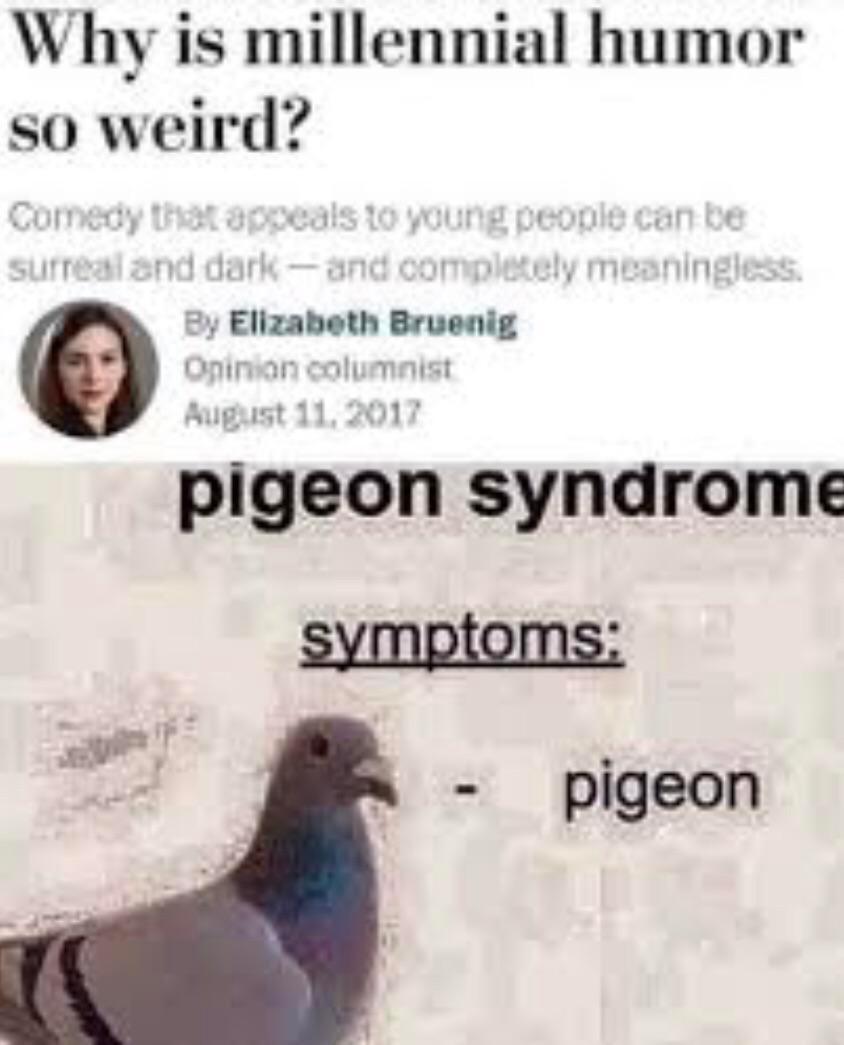 pigeon...pigeon | Scrolller