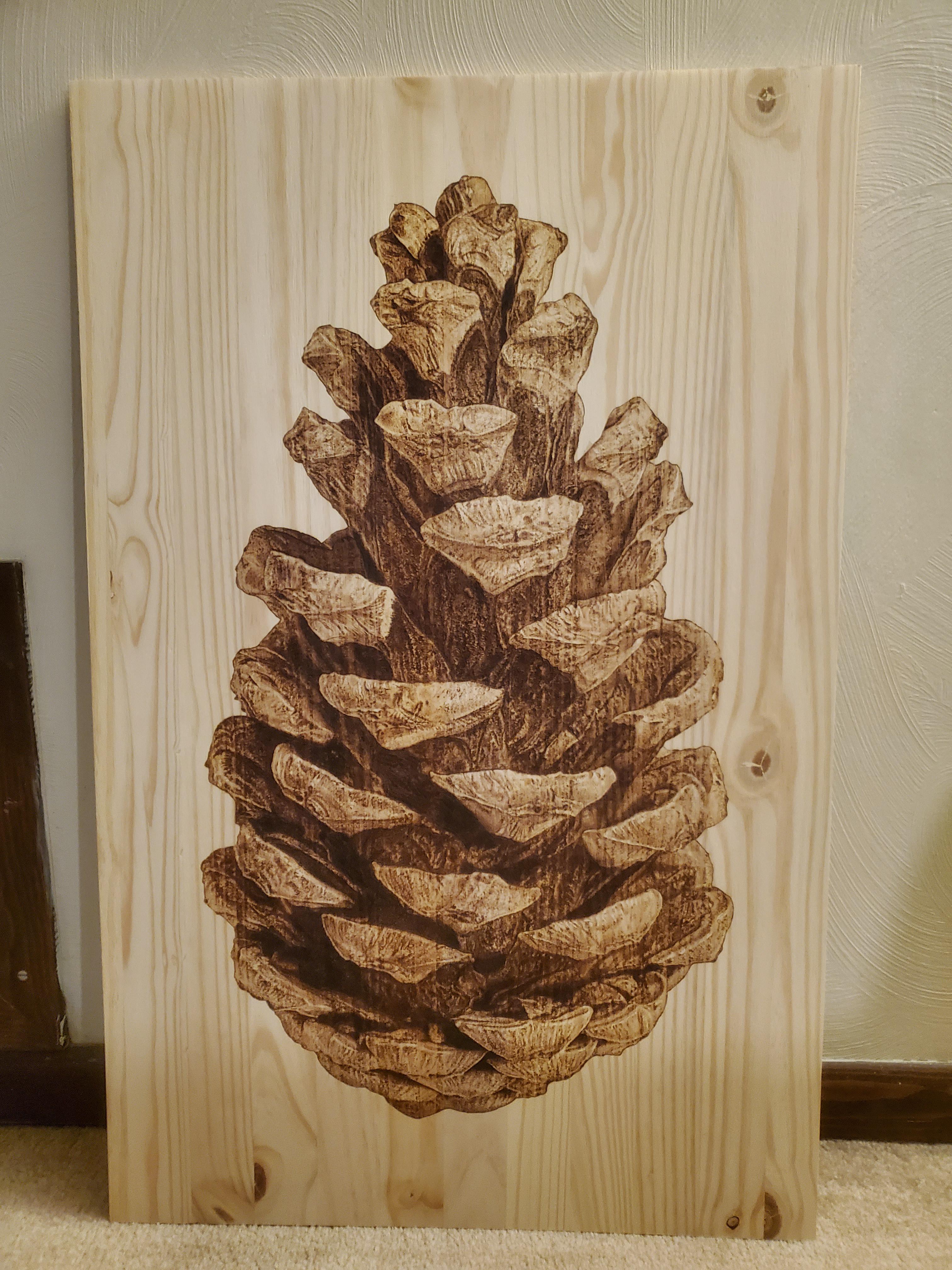 Pinecone on Pine Wood | Scrolller