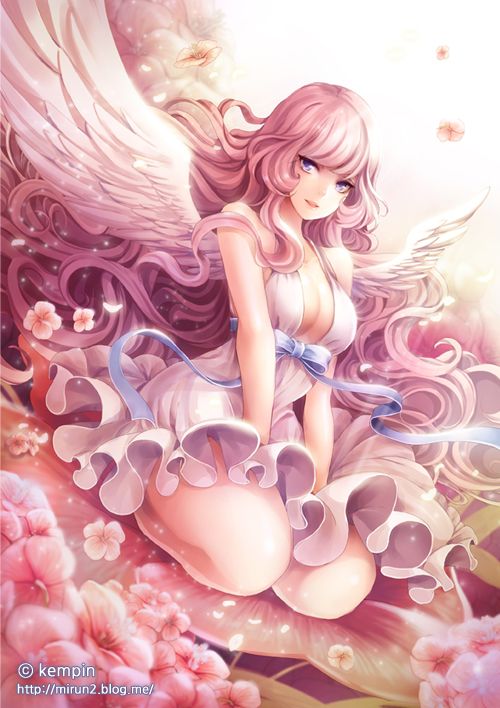 Pink flowers | Scrolller