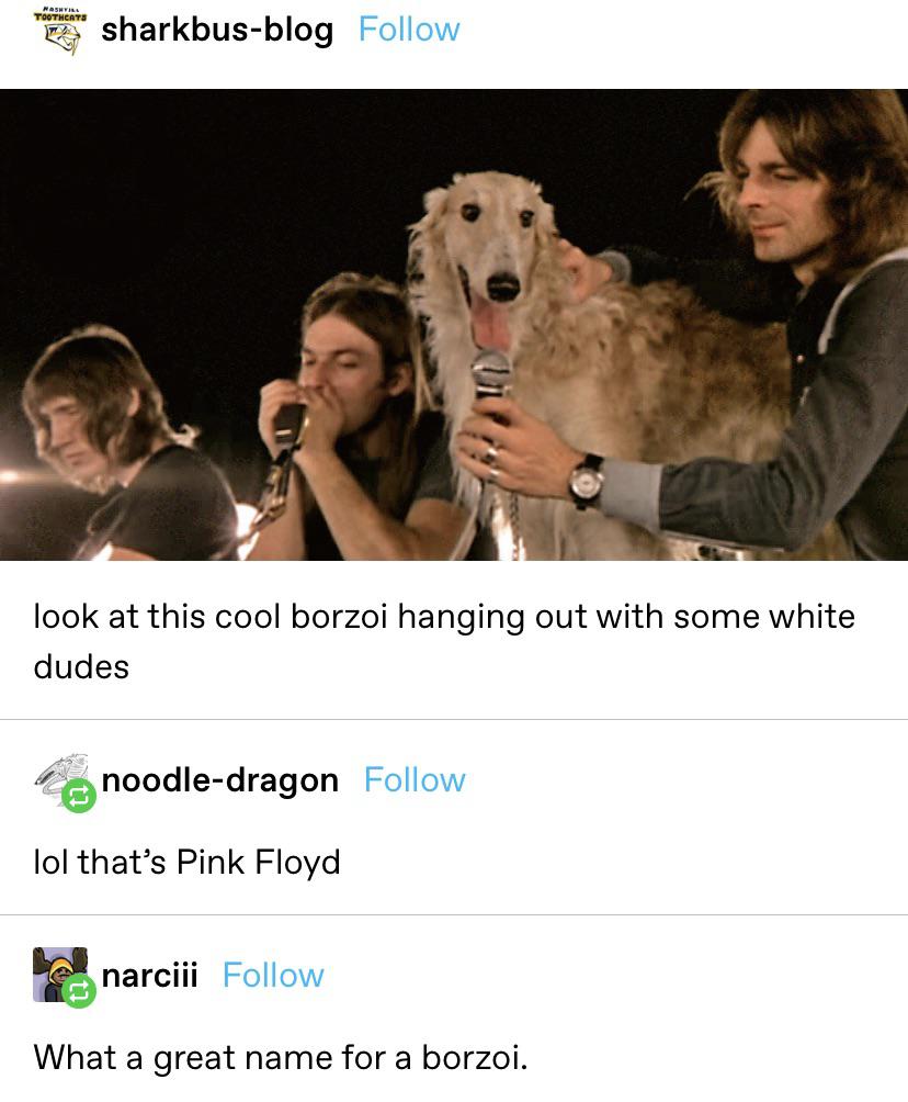 Pink Floyd | Scrolller