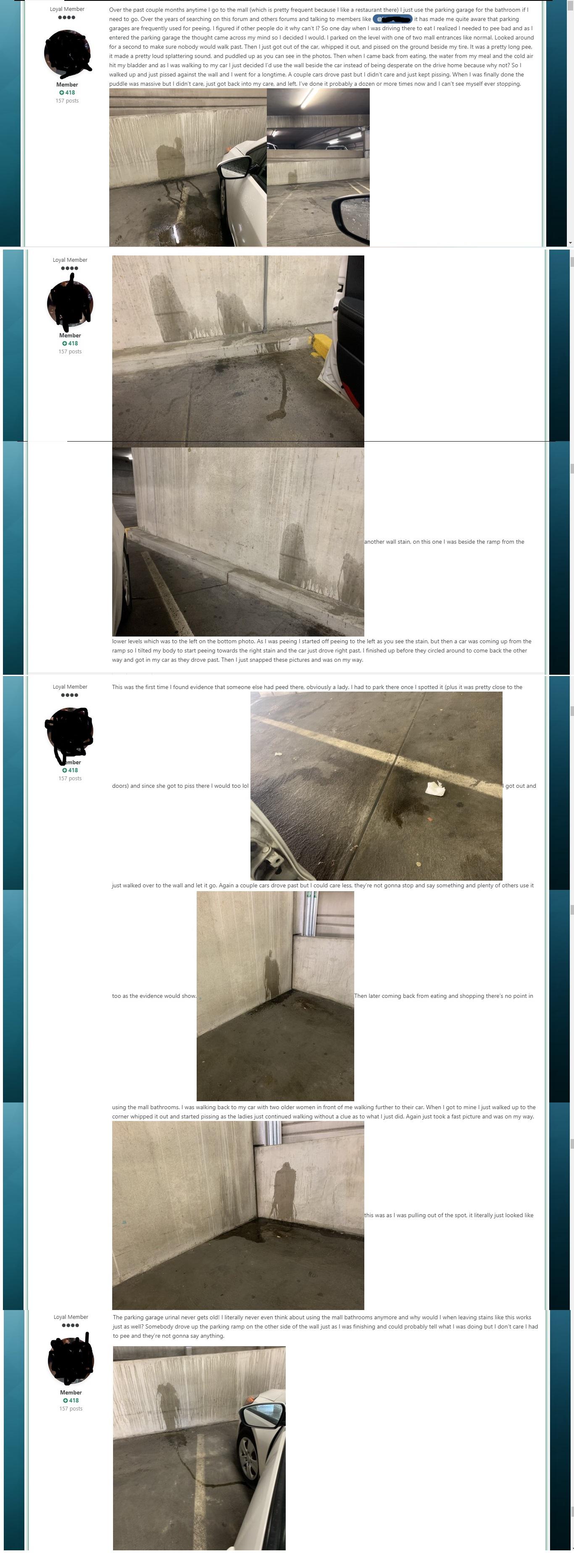 Pissing in a public parking garage and bragging about it online | Scrolller